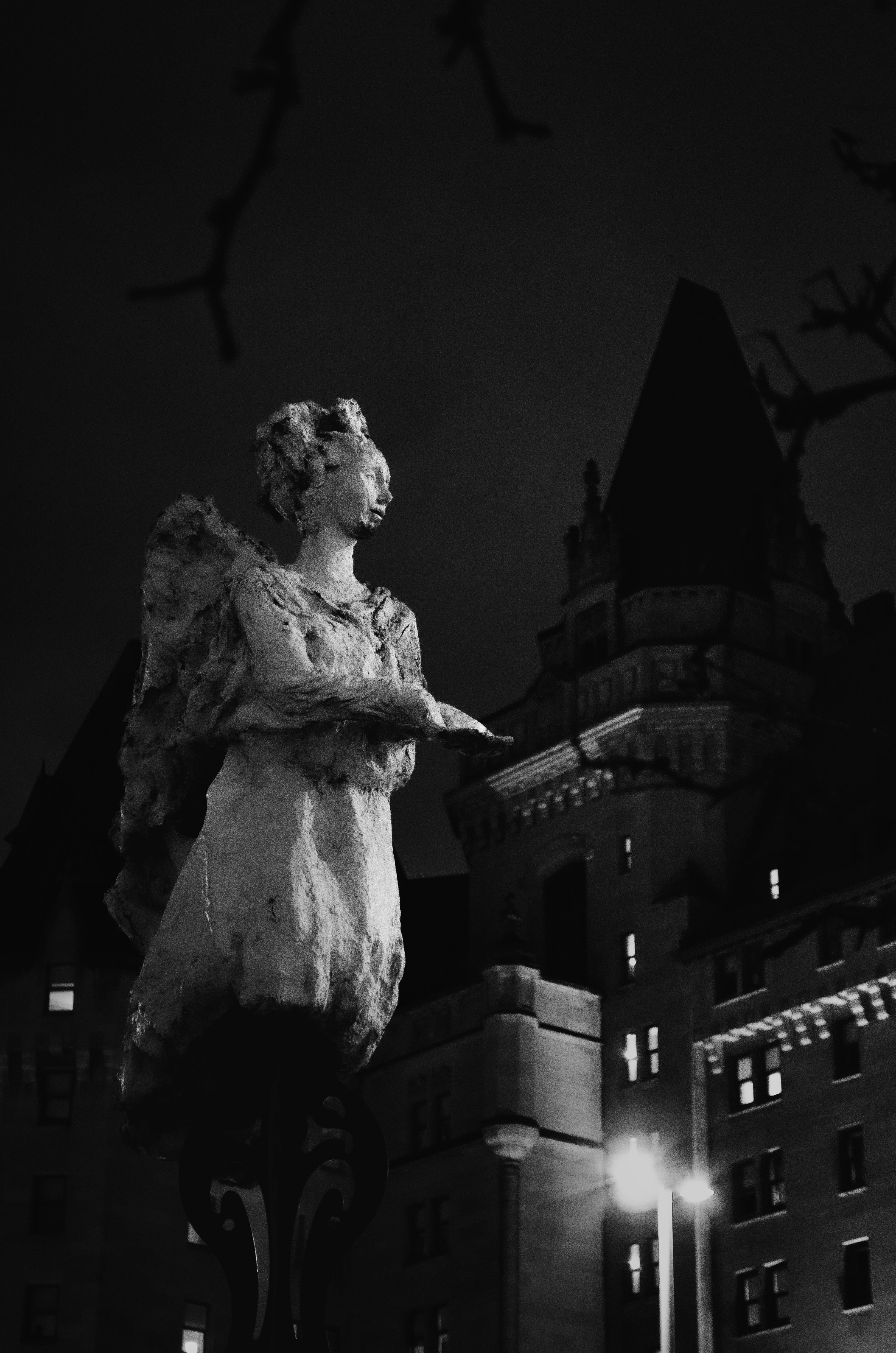 Whispers of the Night: A Guardian in Stone