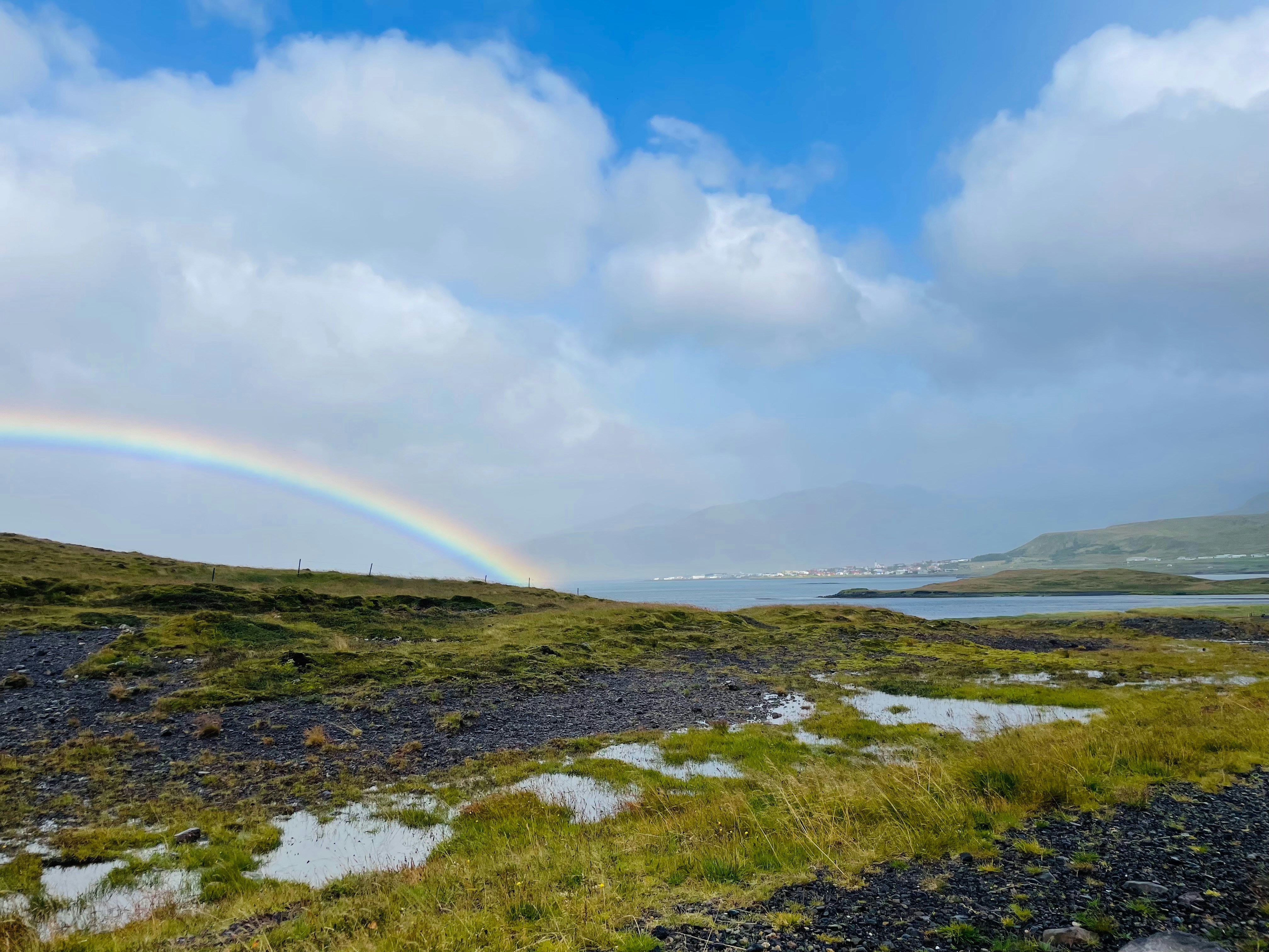 Whispers of Nature: The Arc of Color
