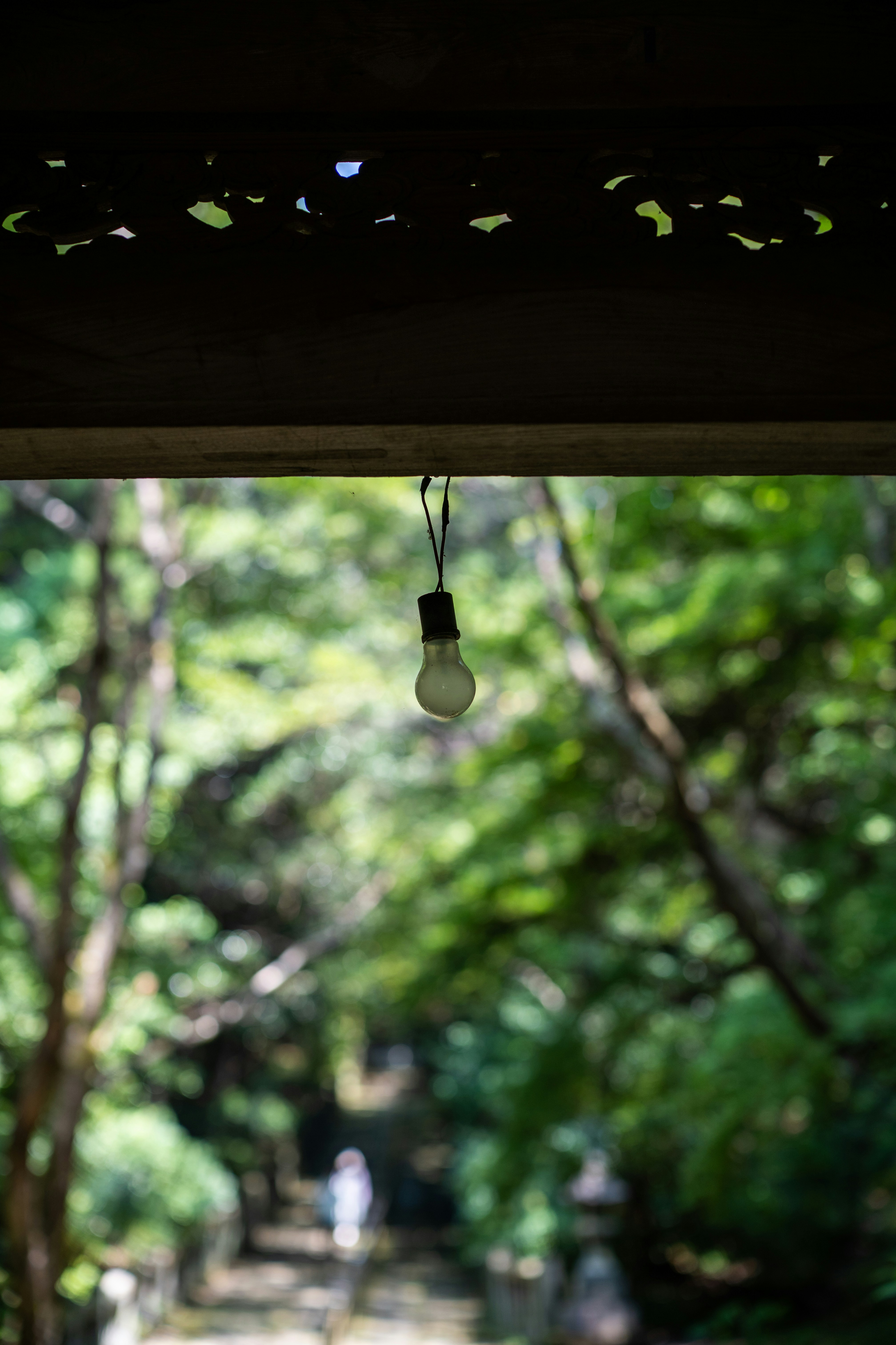 Hanging light bulb casts a soft glow above a tranquil pathway lined with lush greenery. A figure walks in the distance, inviting exploration.