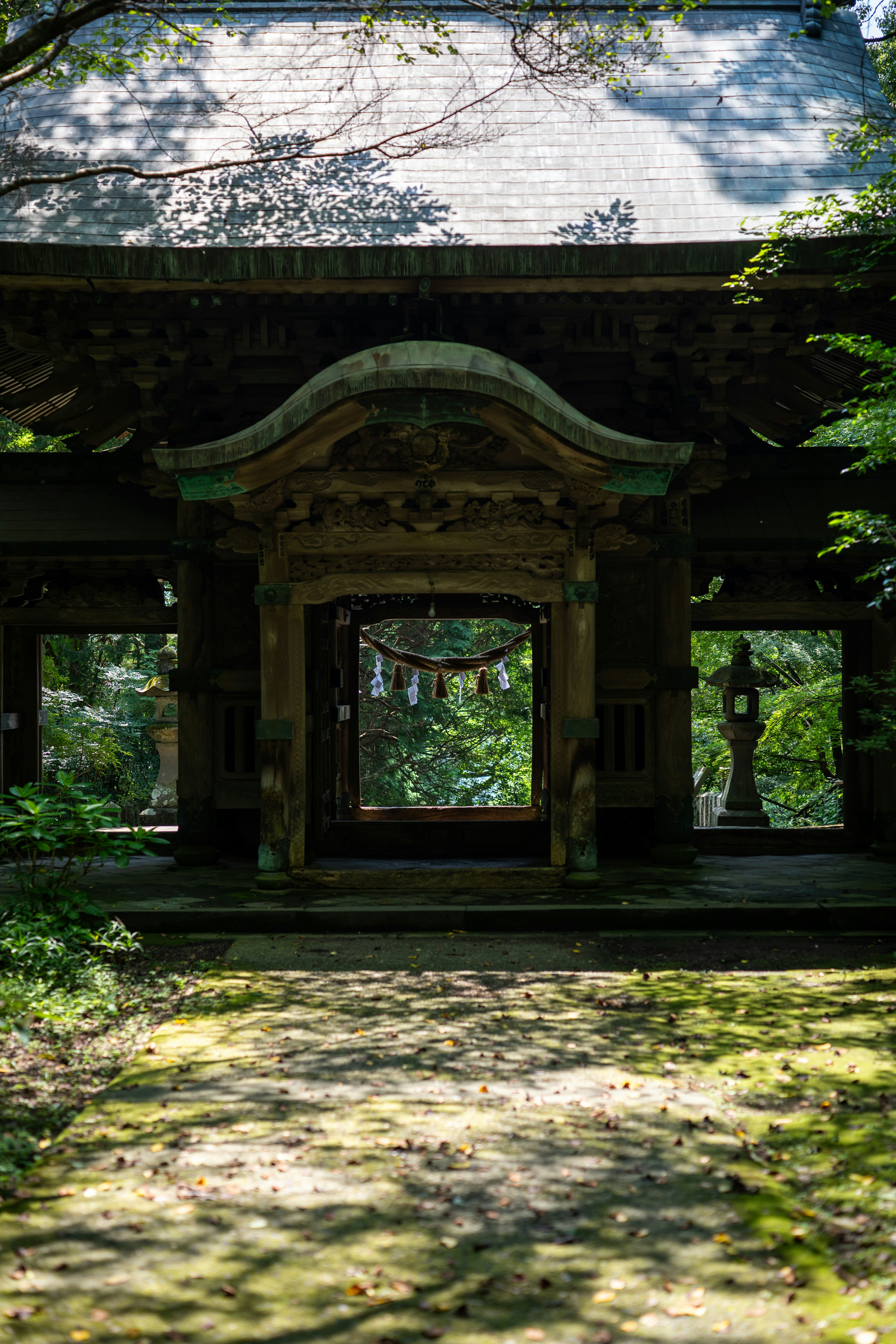 Ancient japanese temple gate surrounded by lush greenery