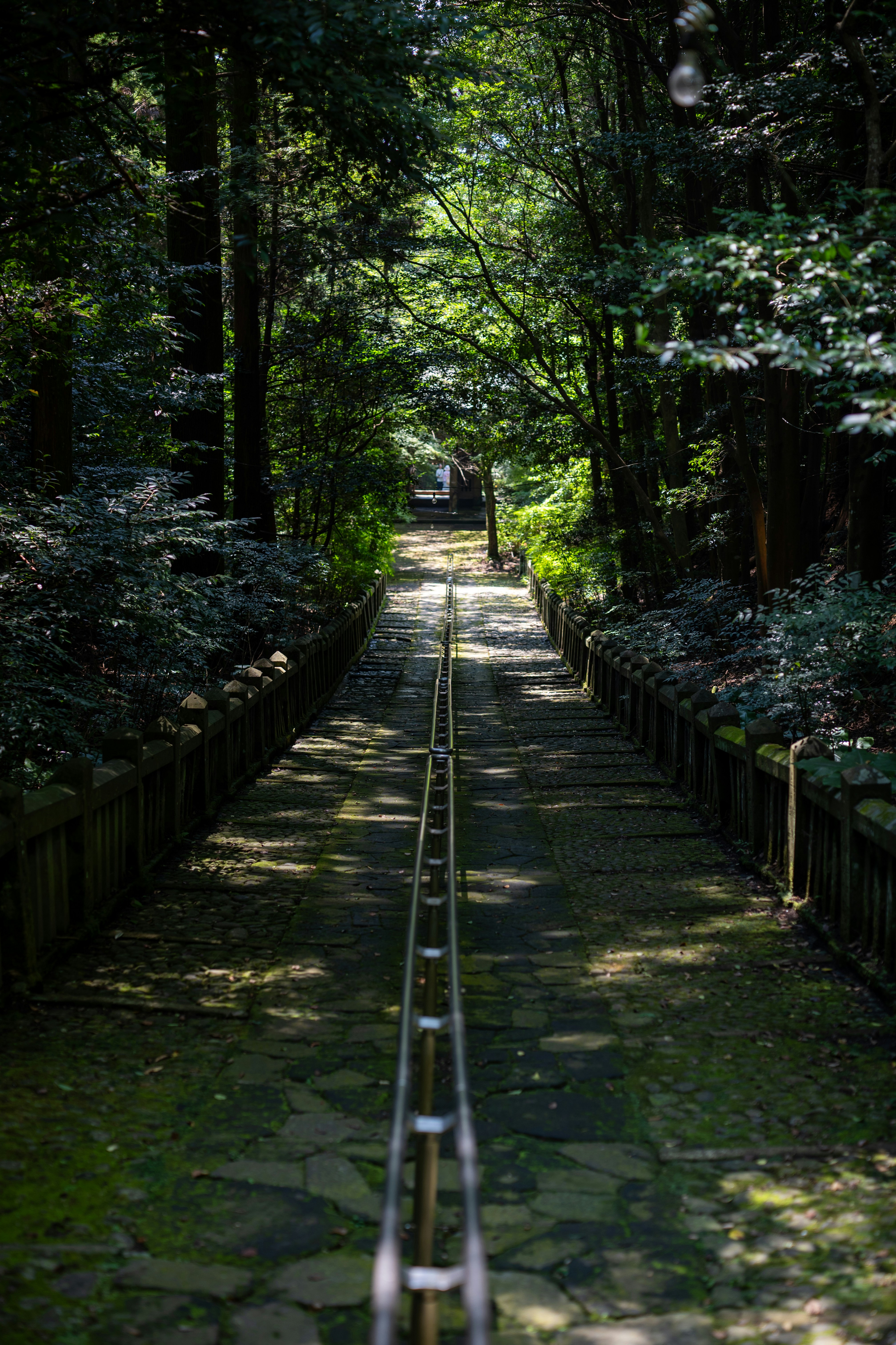 Sunlit pathway winding through dense forest, flanked by lush greenery and stone paving.