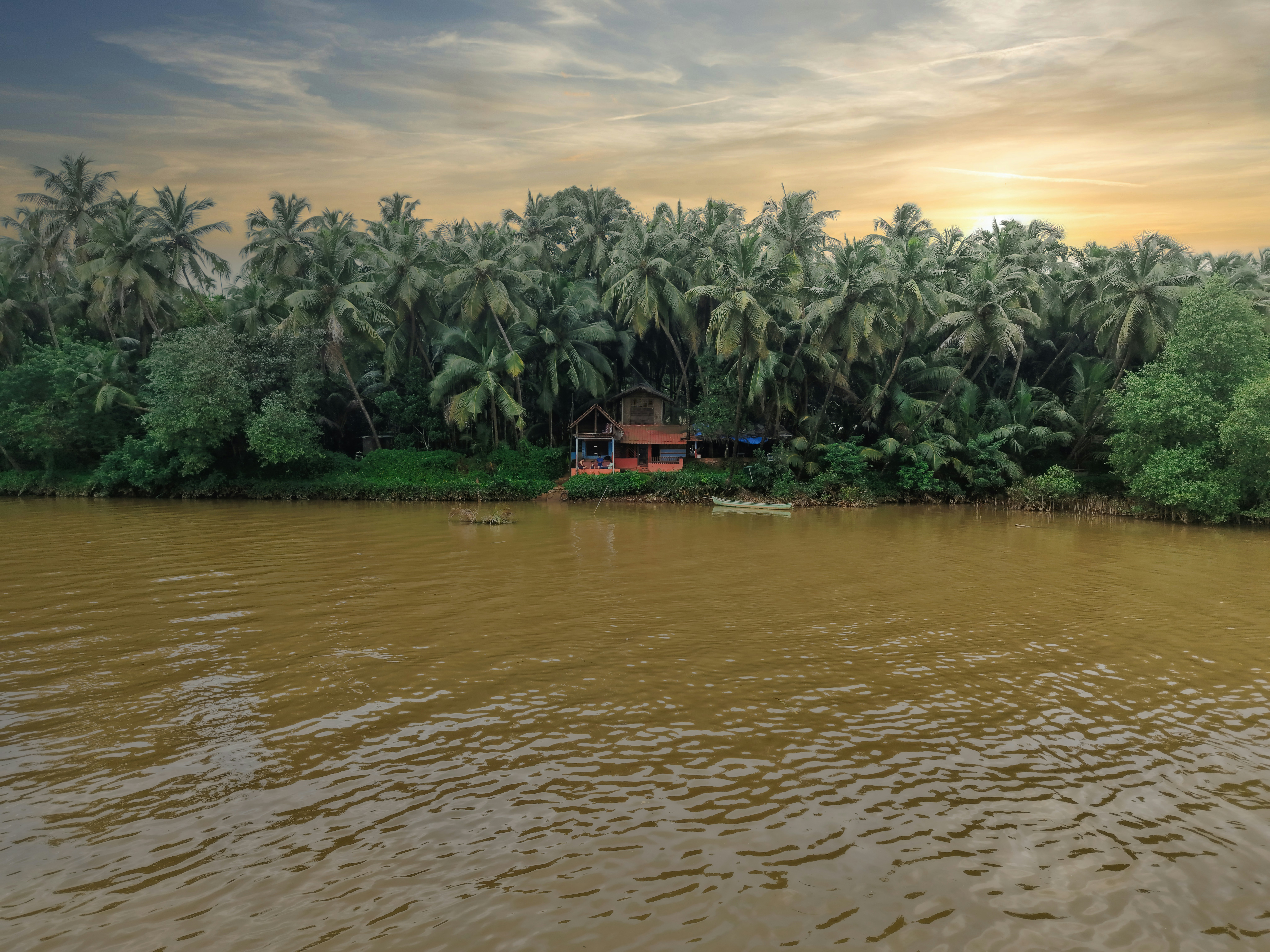 A house nestled among palm trees by a river