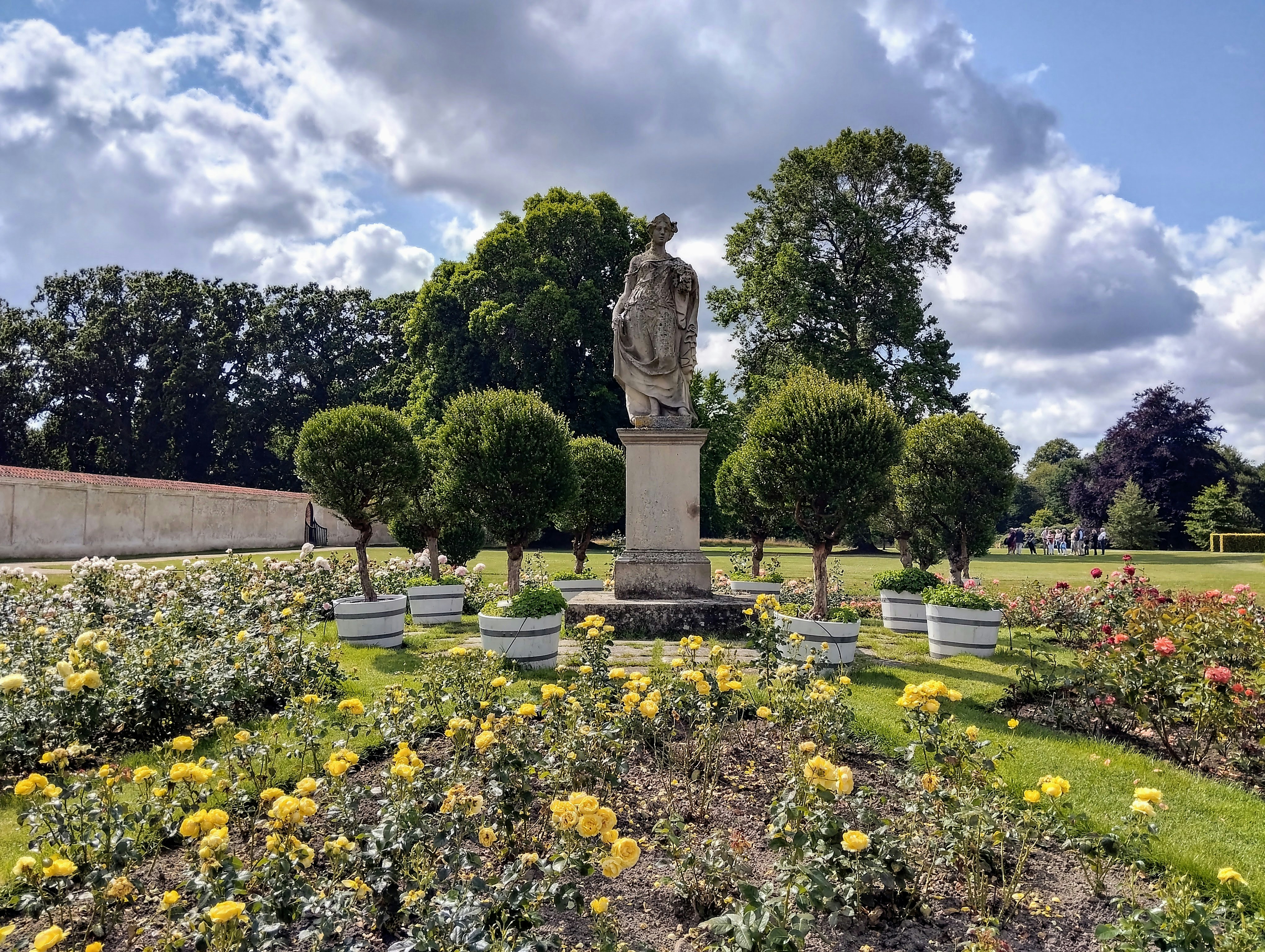 Statue in a garden with yellow roses and trees