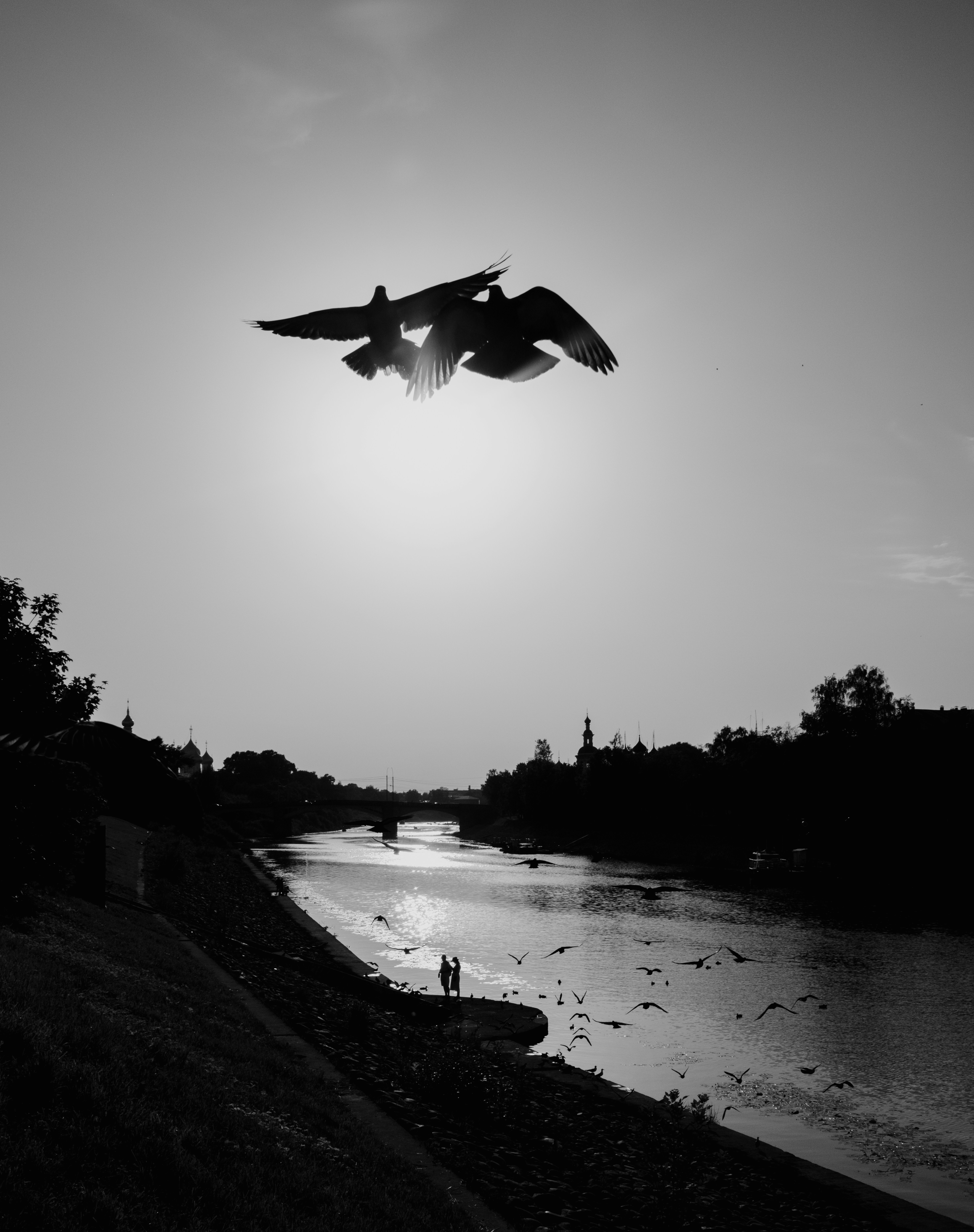 Silhouetted Serenity: A Dance of Nature and Humanity