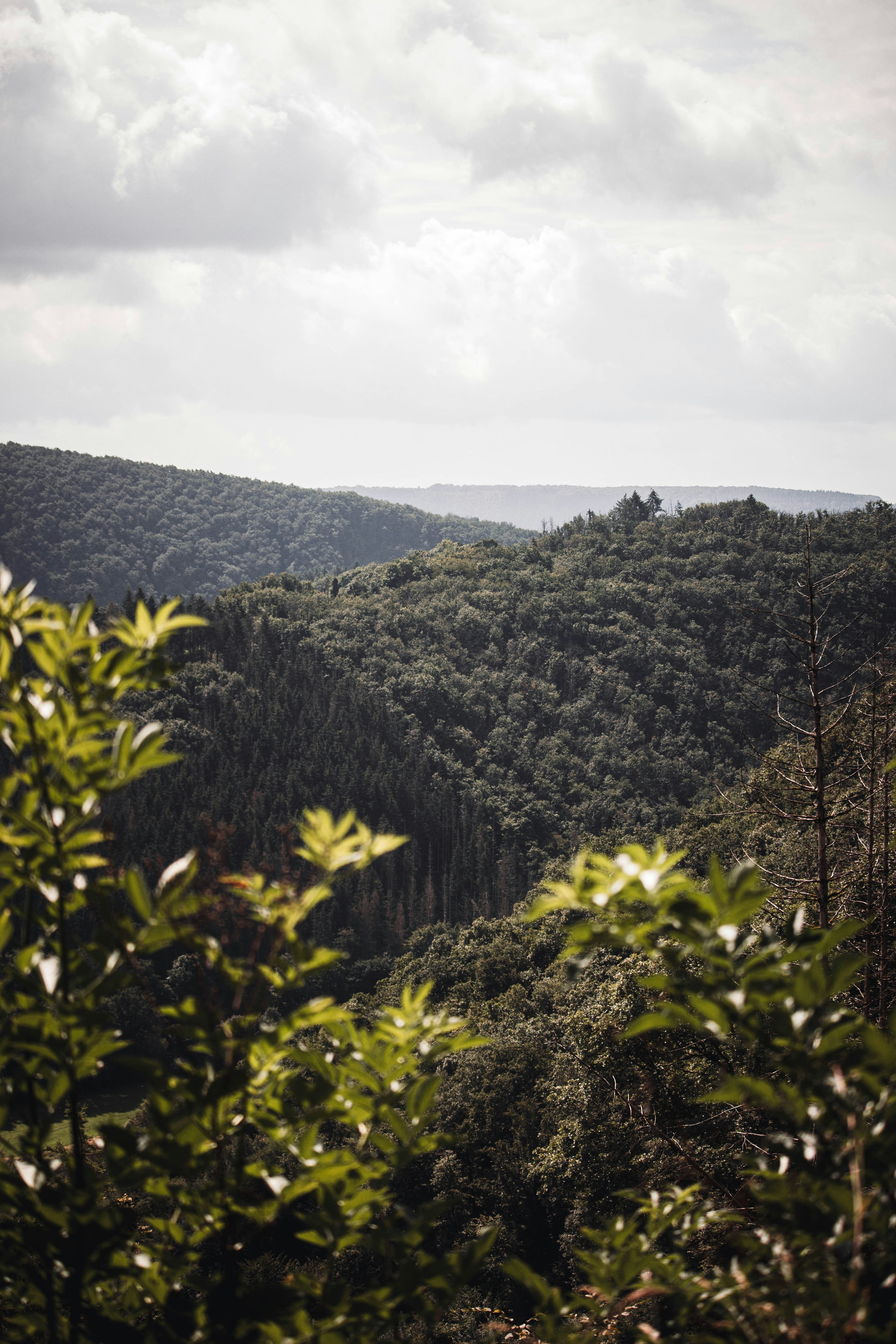 Lush green forested hills under a cloudy sky