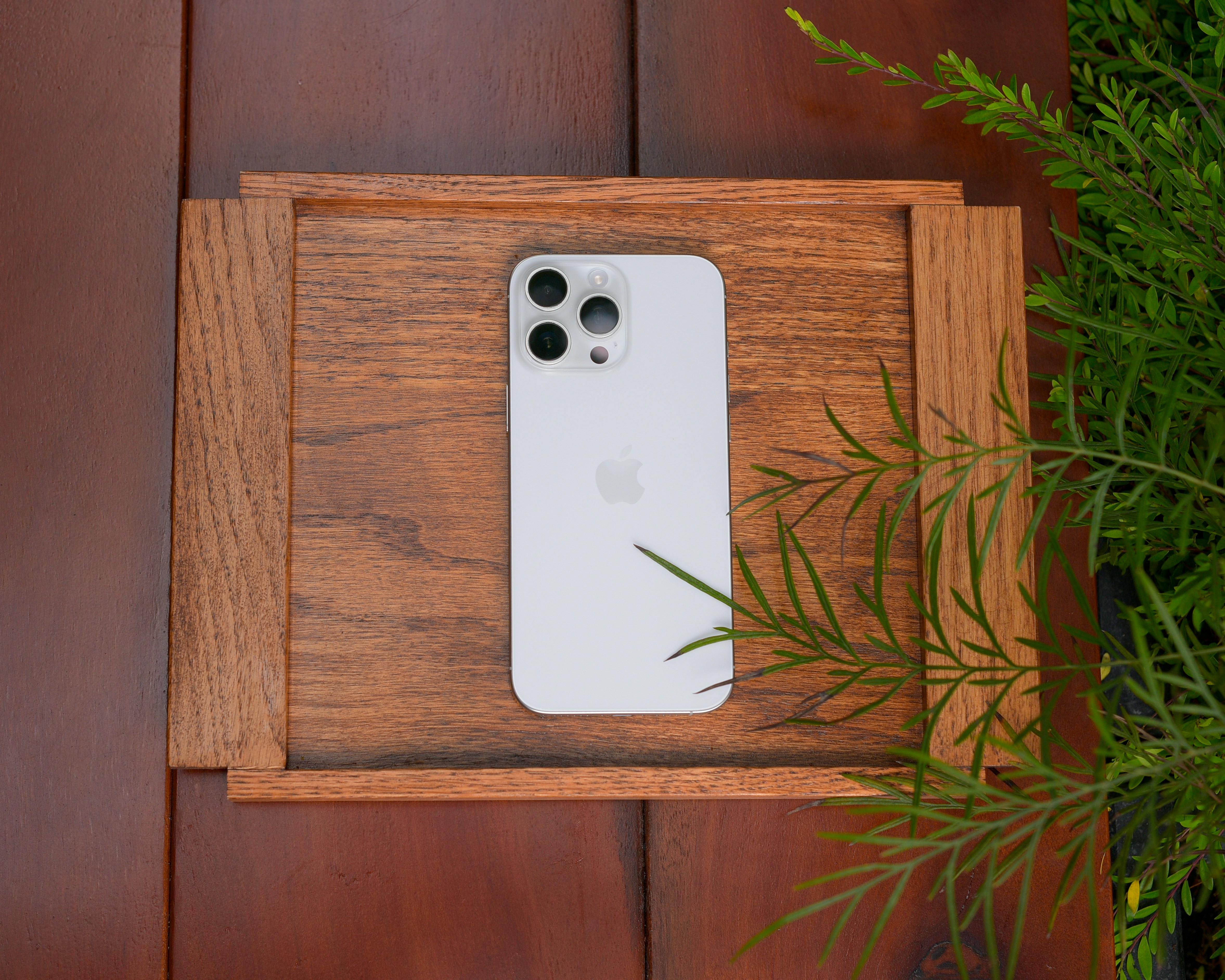Framed Tech: iPhone resting in a carved wooden inset with fern