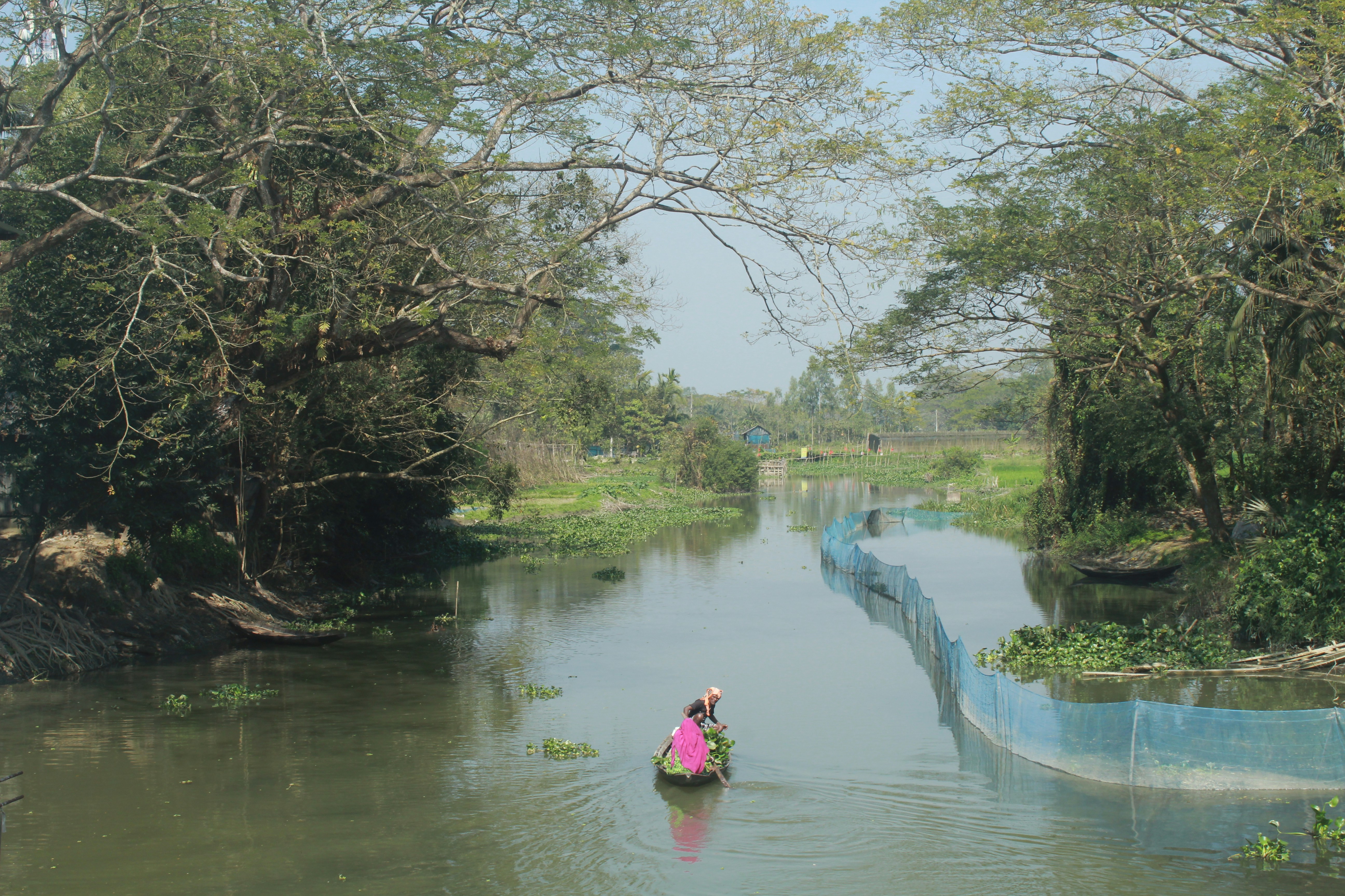 It captures the beauty of nature and the diligent efforts of rural people of Bangladesh as they work to earn their livelihood. | People in a boat on a narrow river surrounded by trees.