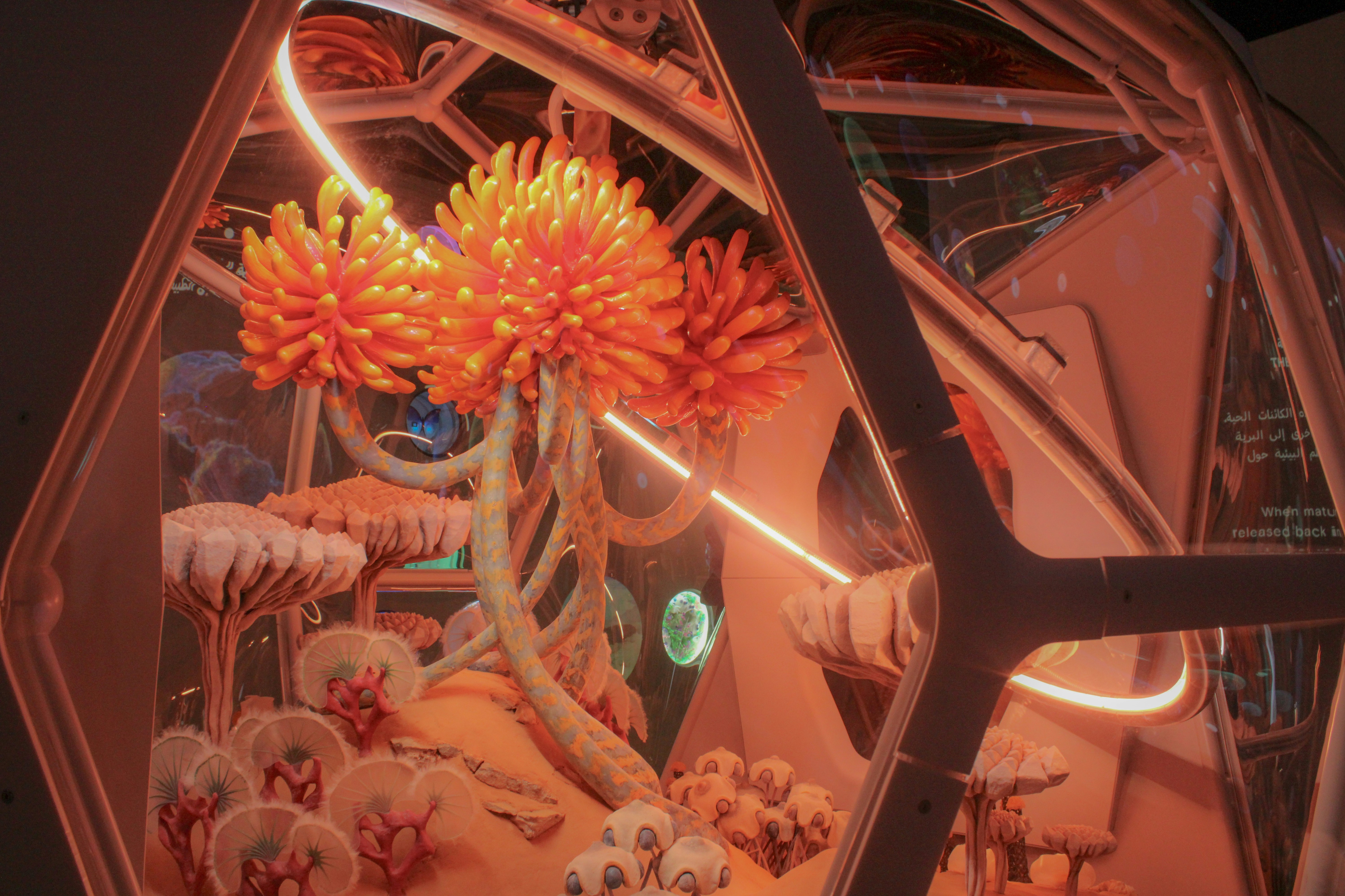 Bioluminescent Wonderland: A Journey Through Imagination