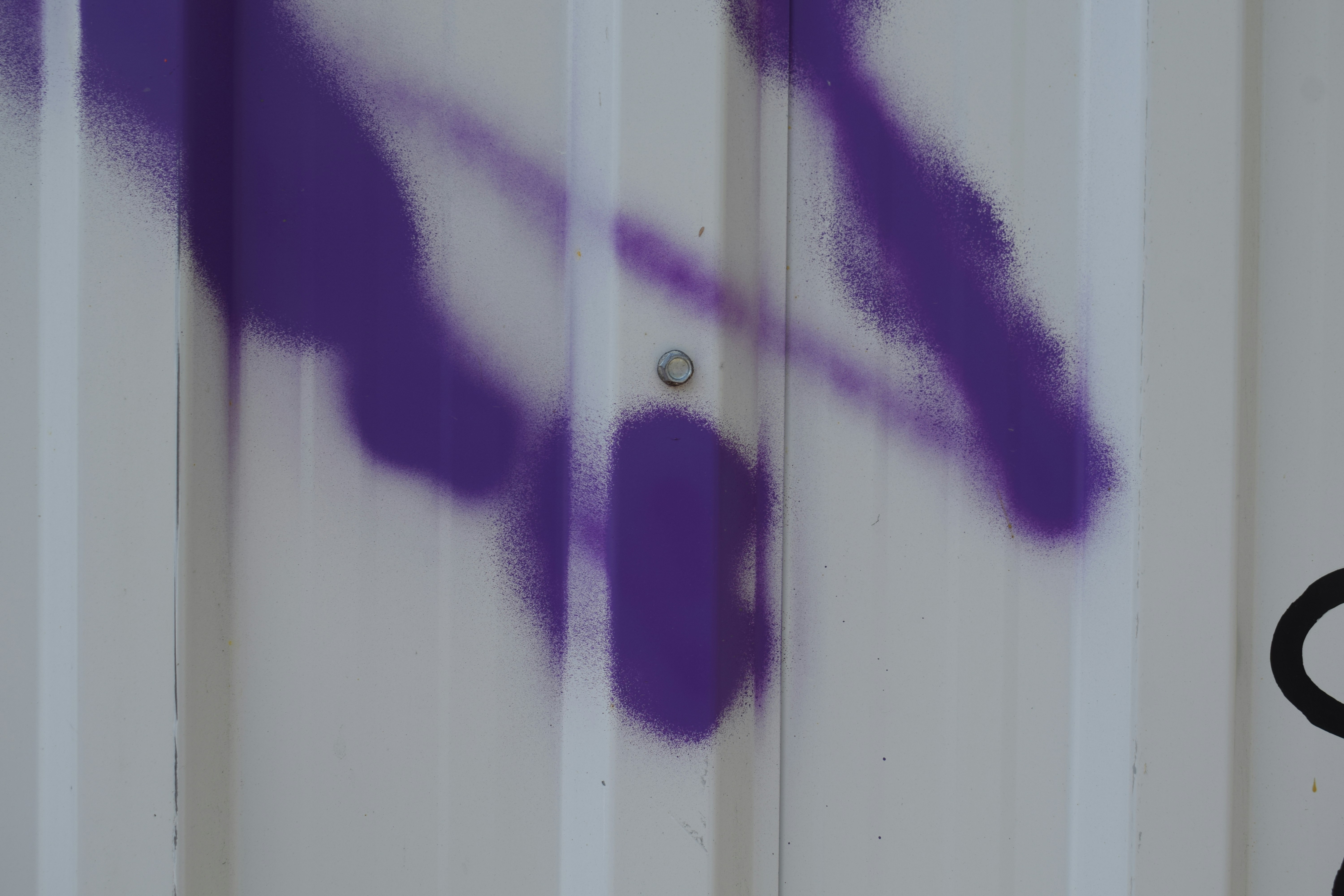 Whispers of Urban Expression