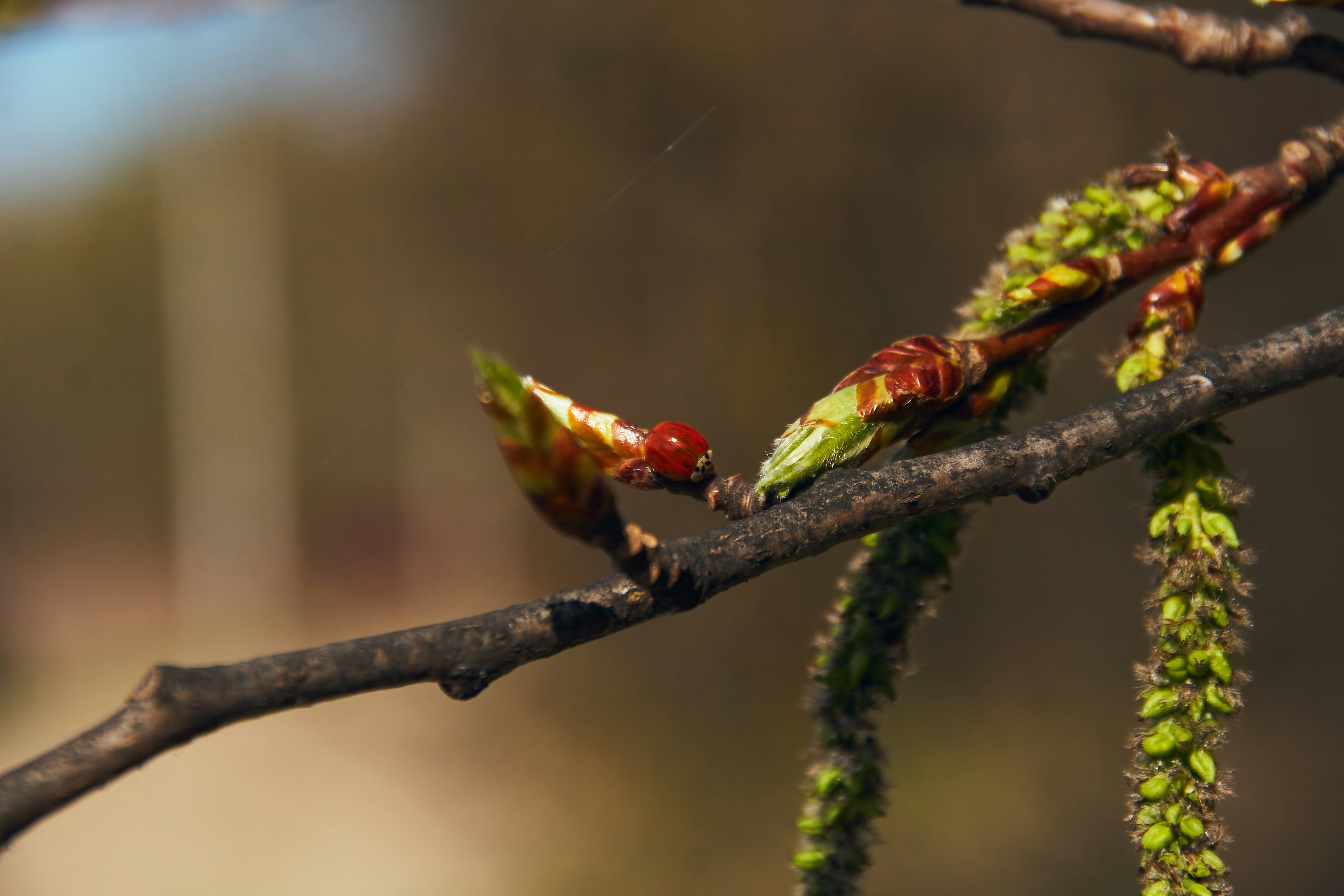 Nature's Intricate Details: A Close Encounter