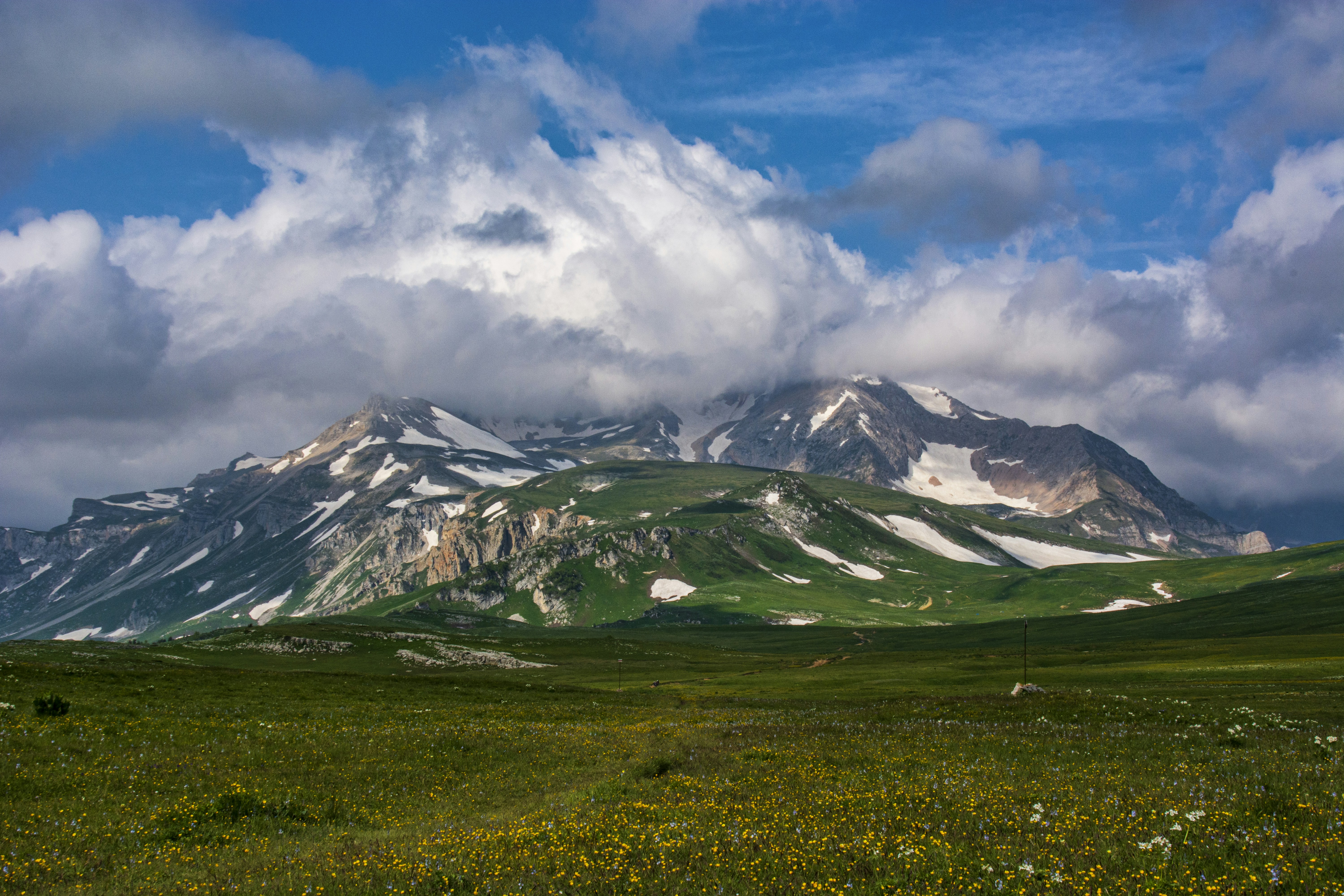Whispers of the Alpine Landscape