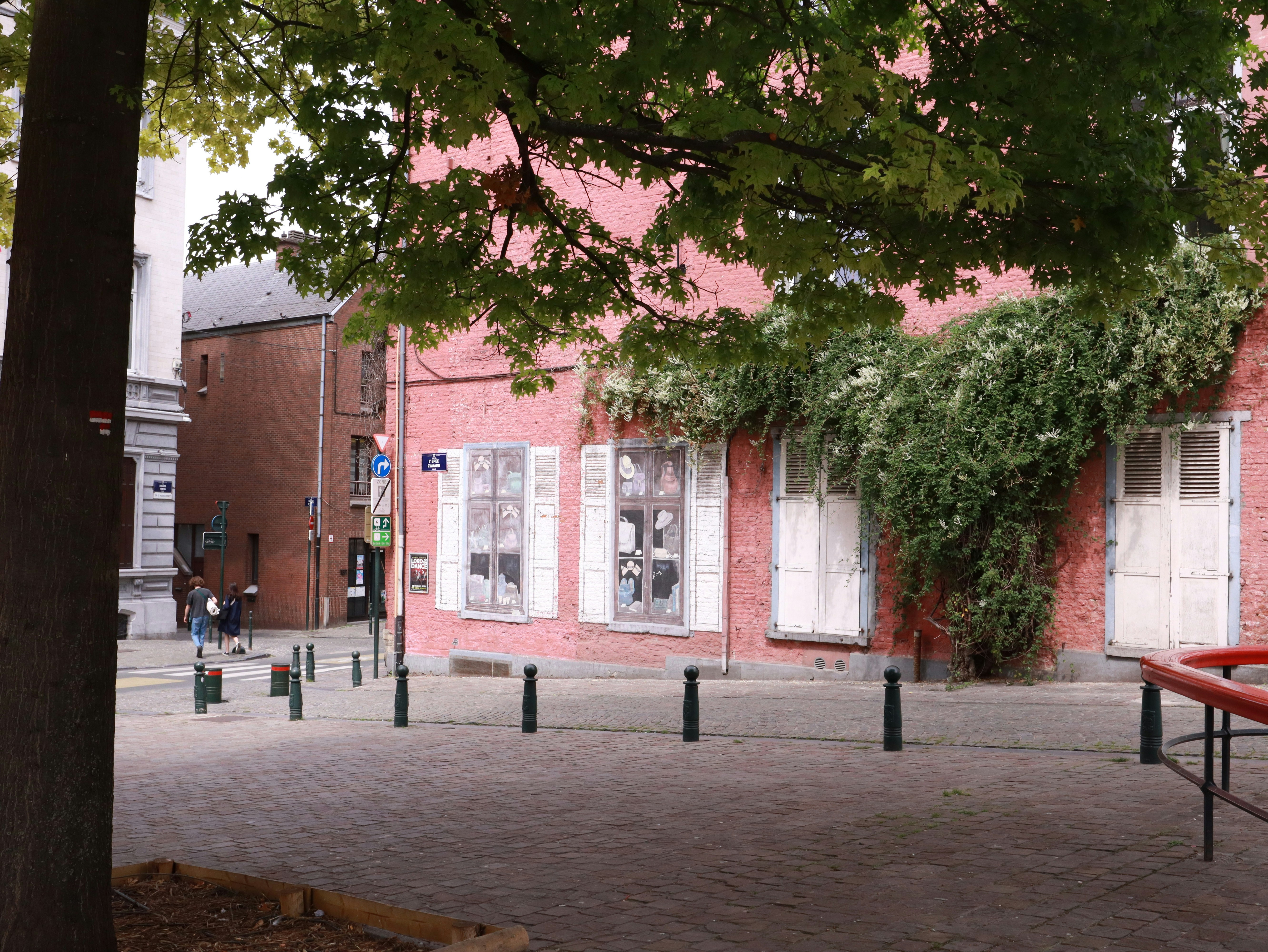 Pink building with windows and climbing plants