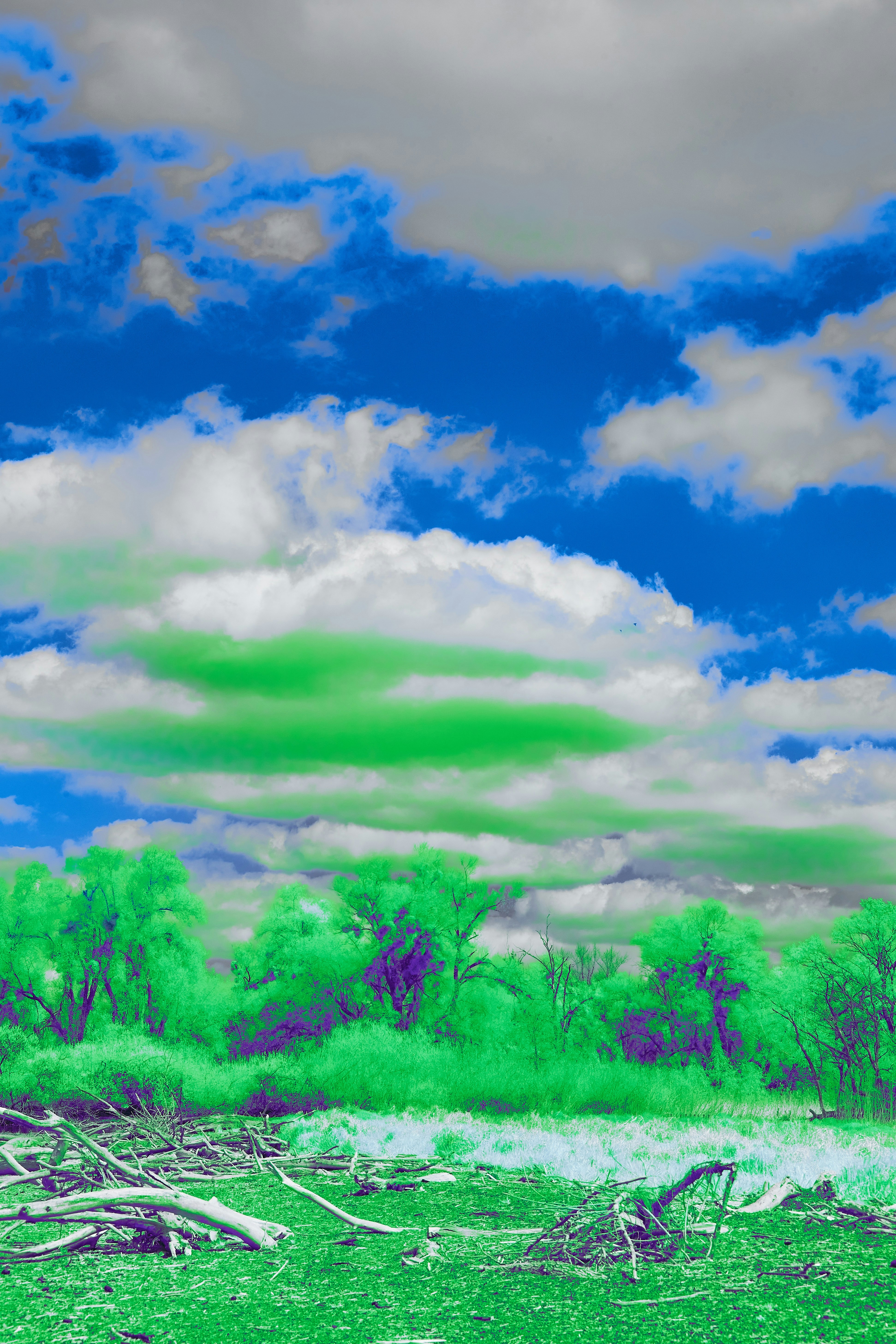 Vibrant green trees under a bright blue sky.