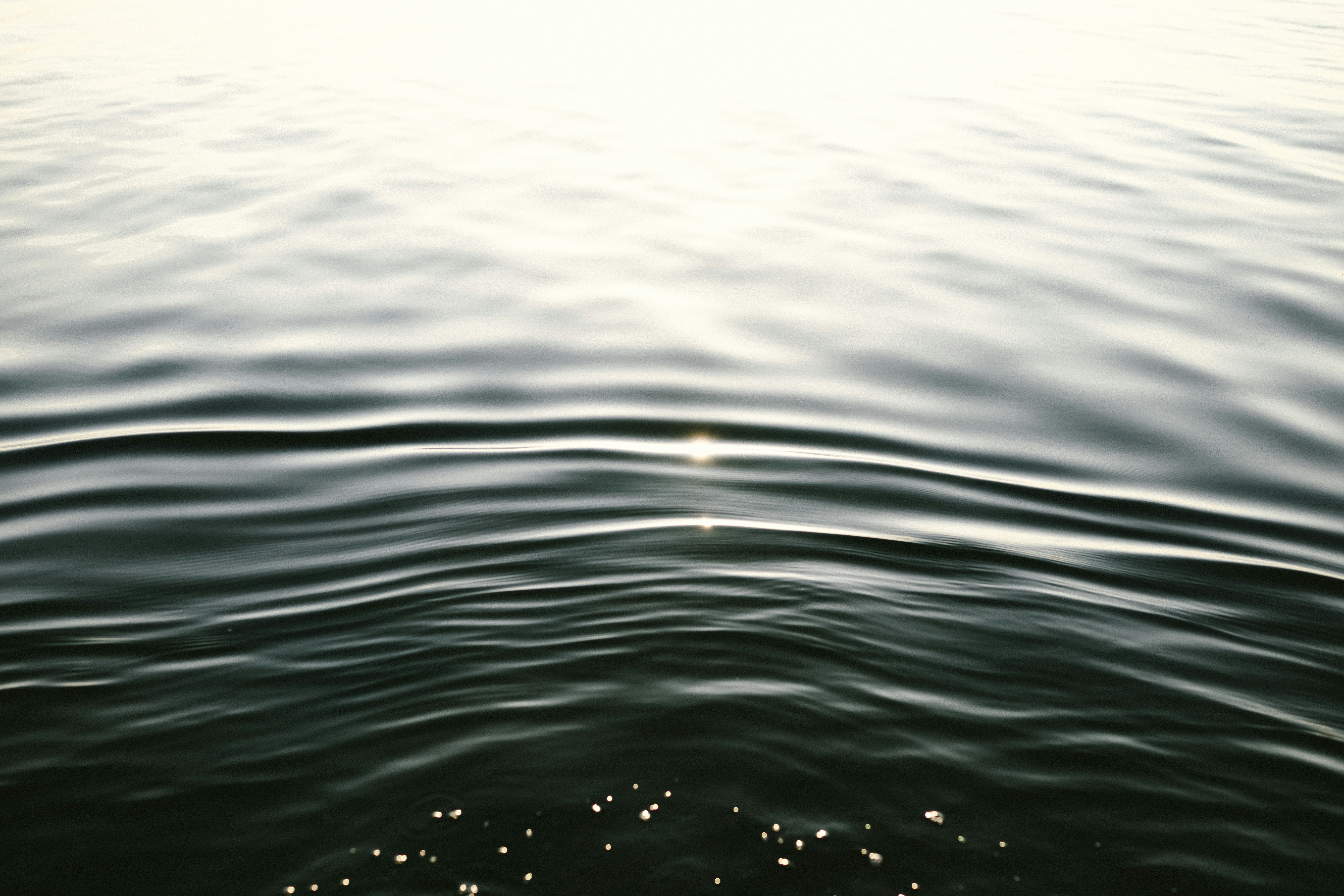 Rippling water surface reflecting sunlight