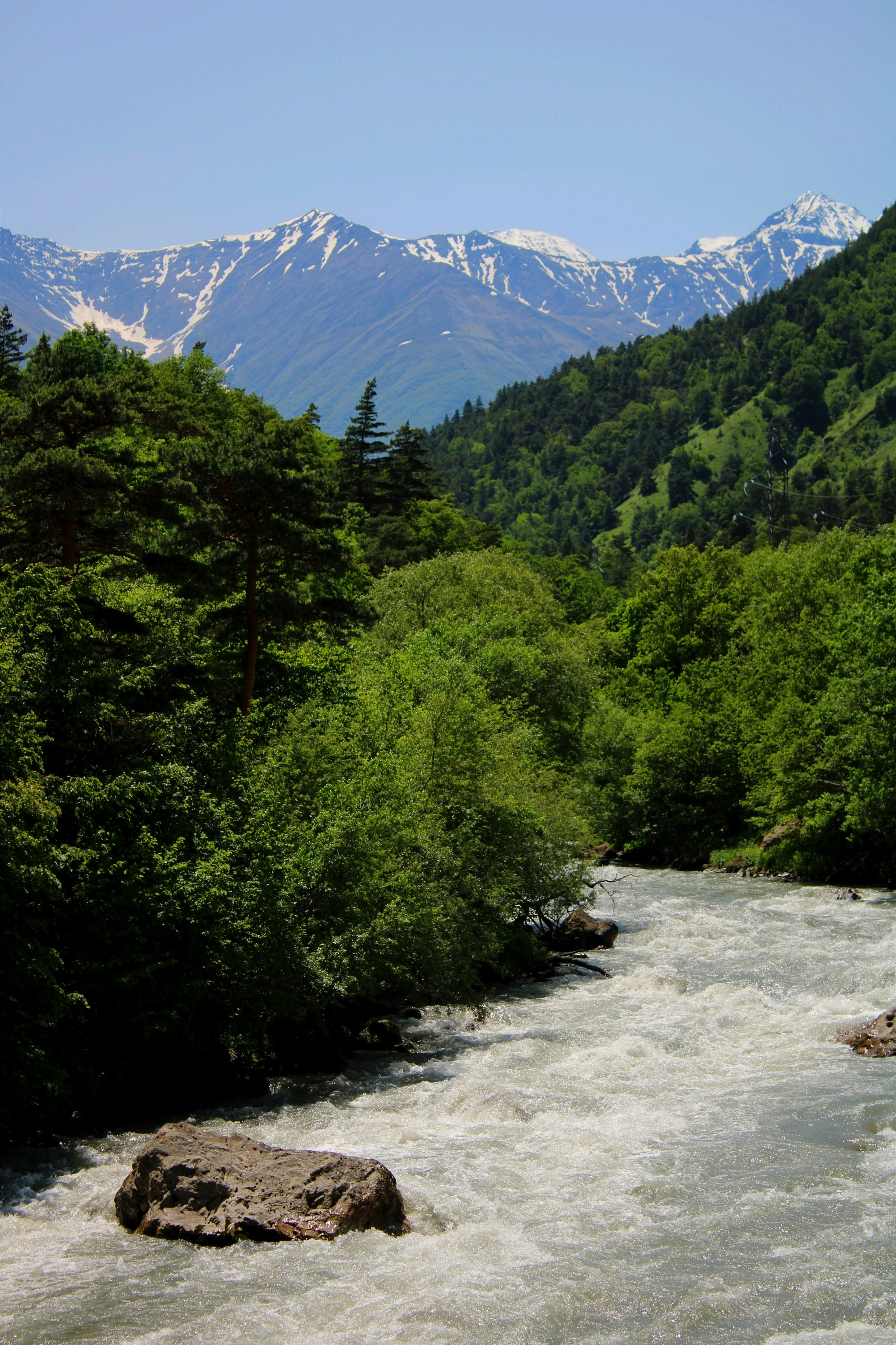 A rushing river flows through a lush green forest with mountains.
