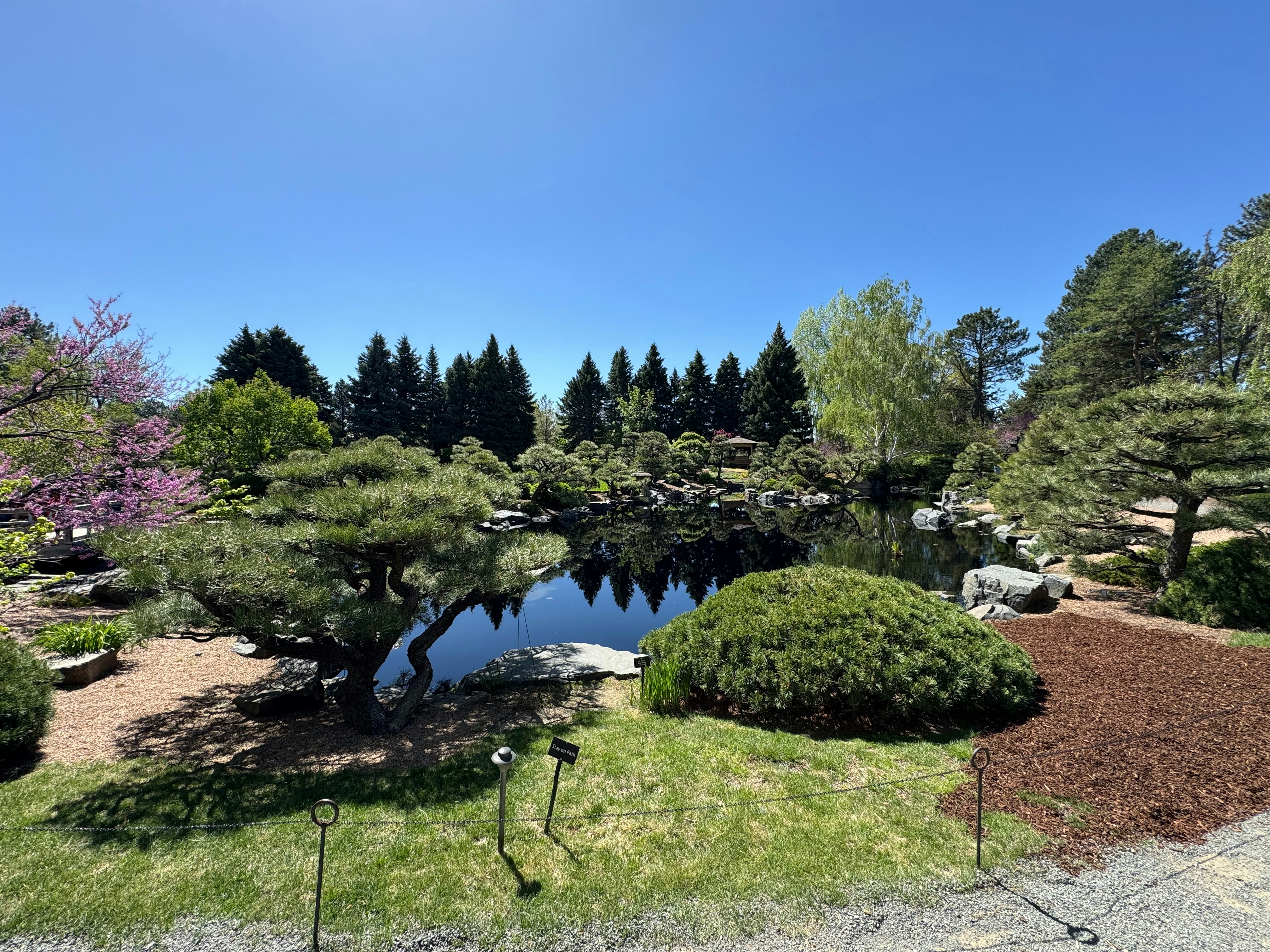 Tranquil garden pond surrounded by lush trees and plants
