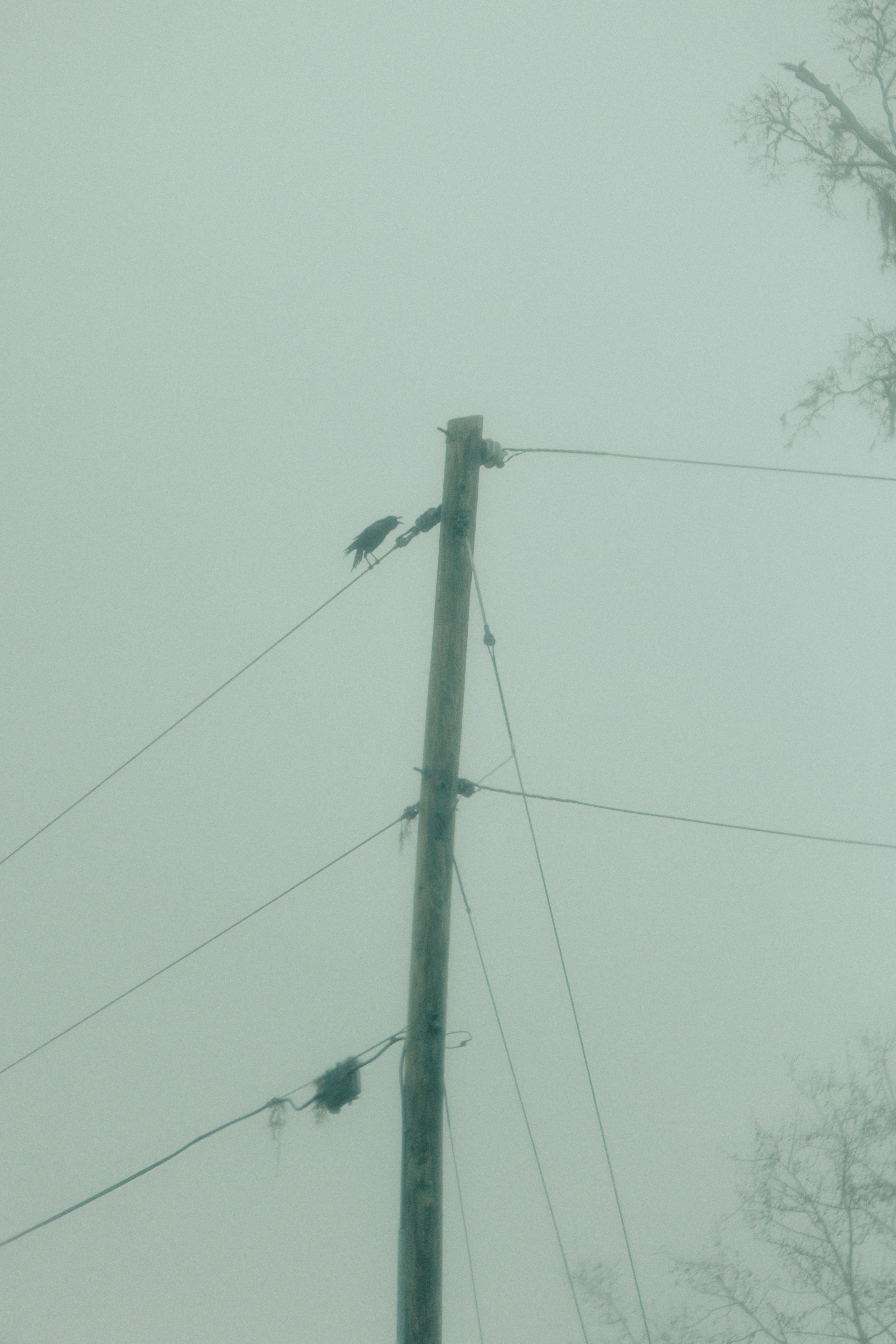 Wooden utility pole with wires against foggy sky