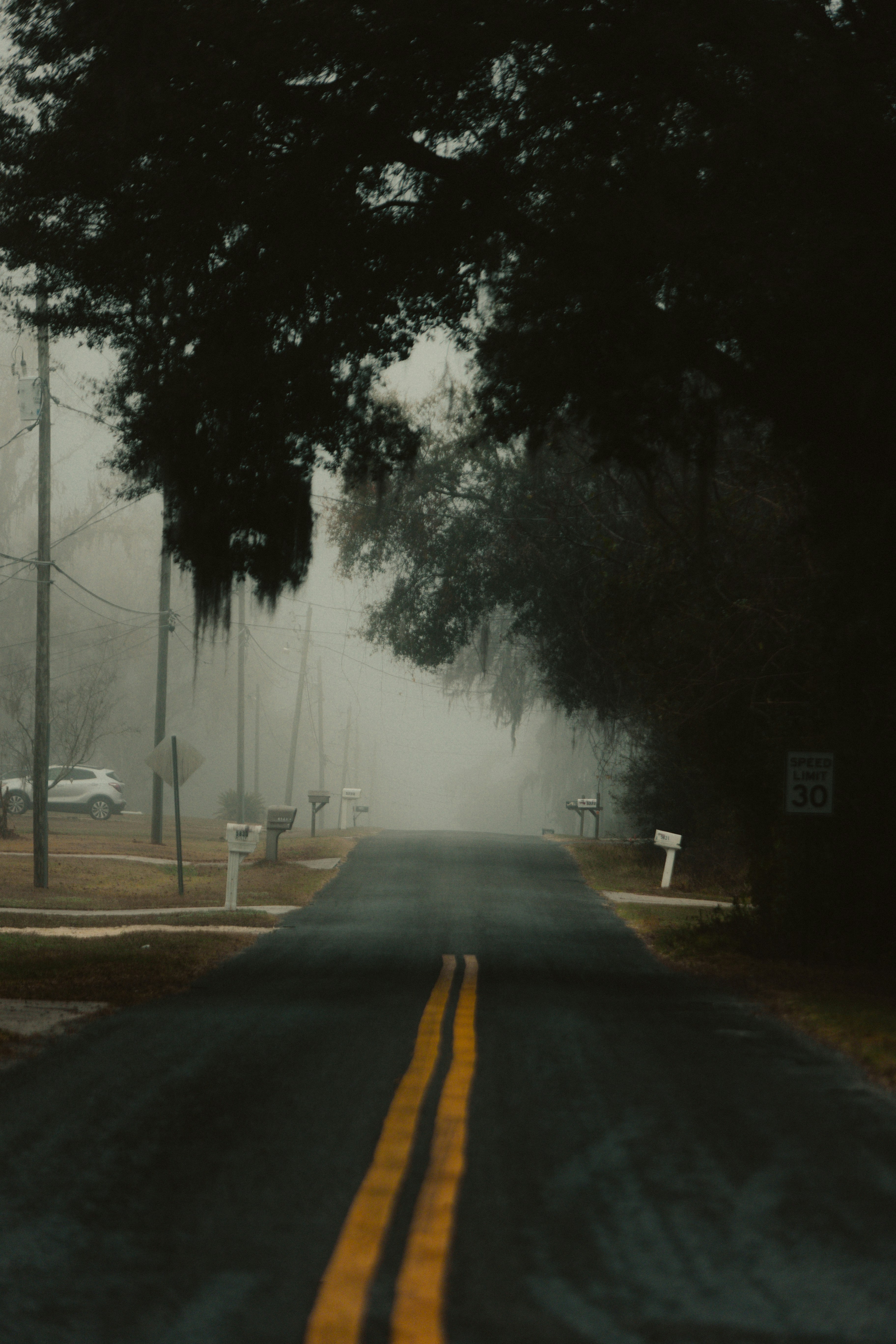 A misty road with trees and mailboxes