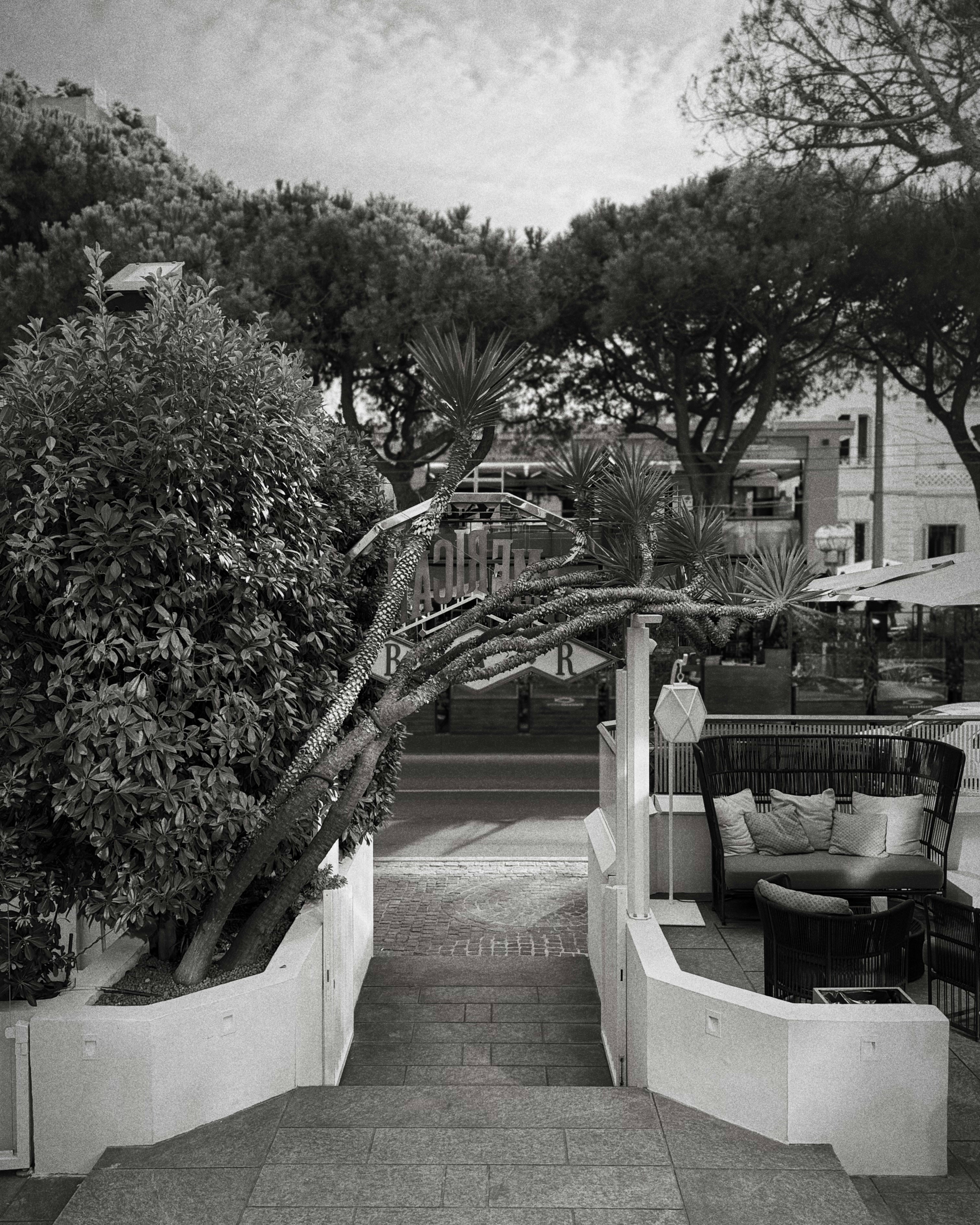 Outdoor seating area with trees and stairs