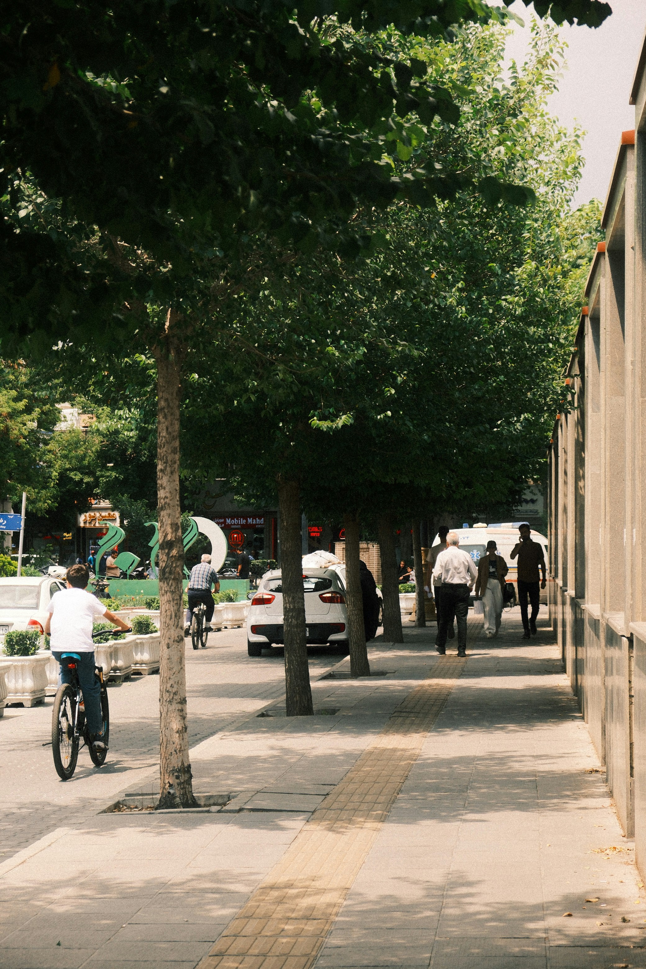 Bicyclist navigating a tree-lined street while pedestrians stroll along the sidewalk, showcasing daily urban life.
