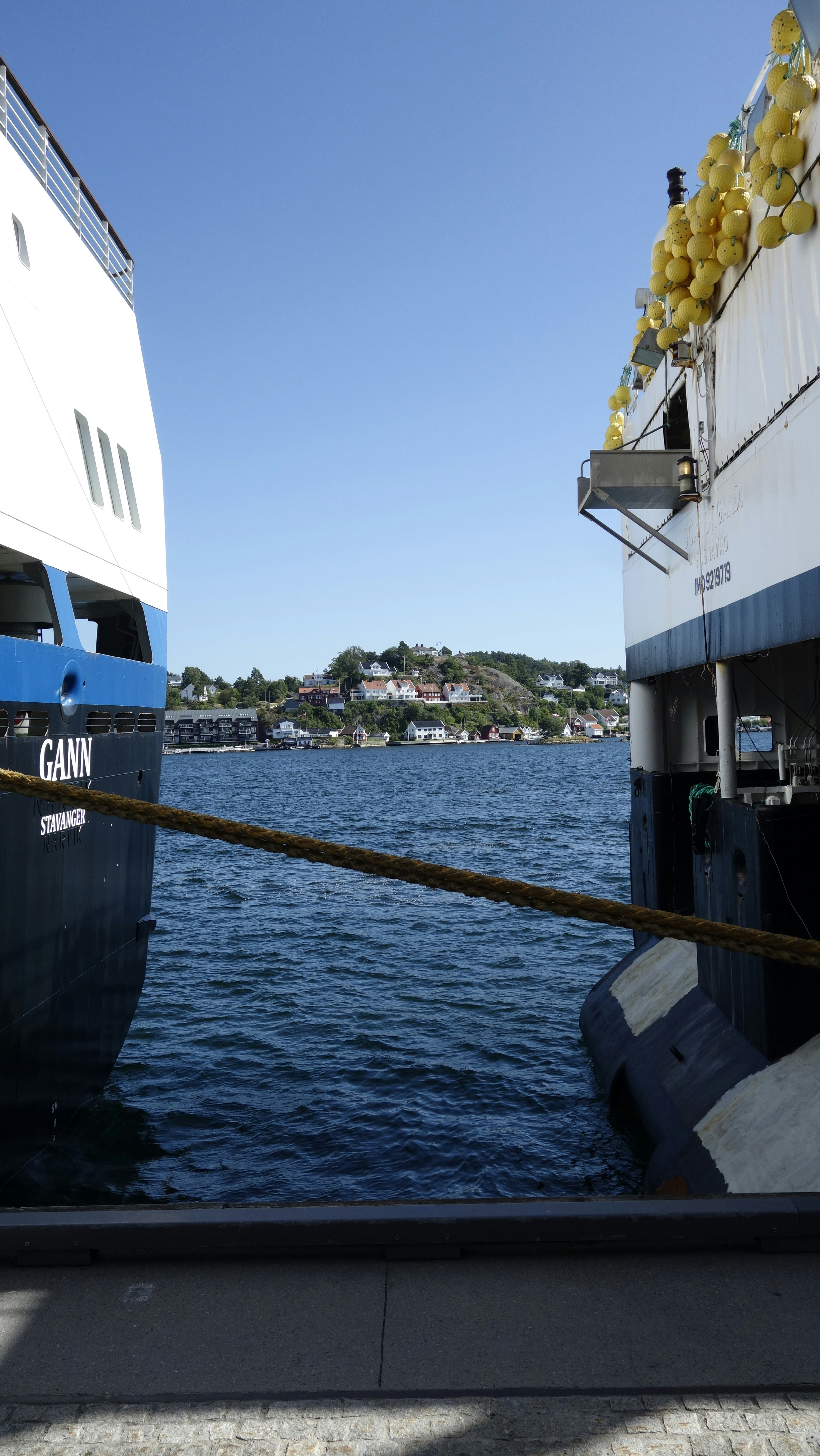 Harbor Harmony: A Nautical Encounter