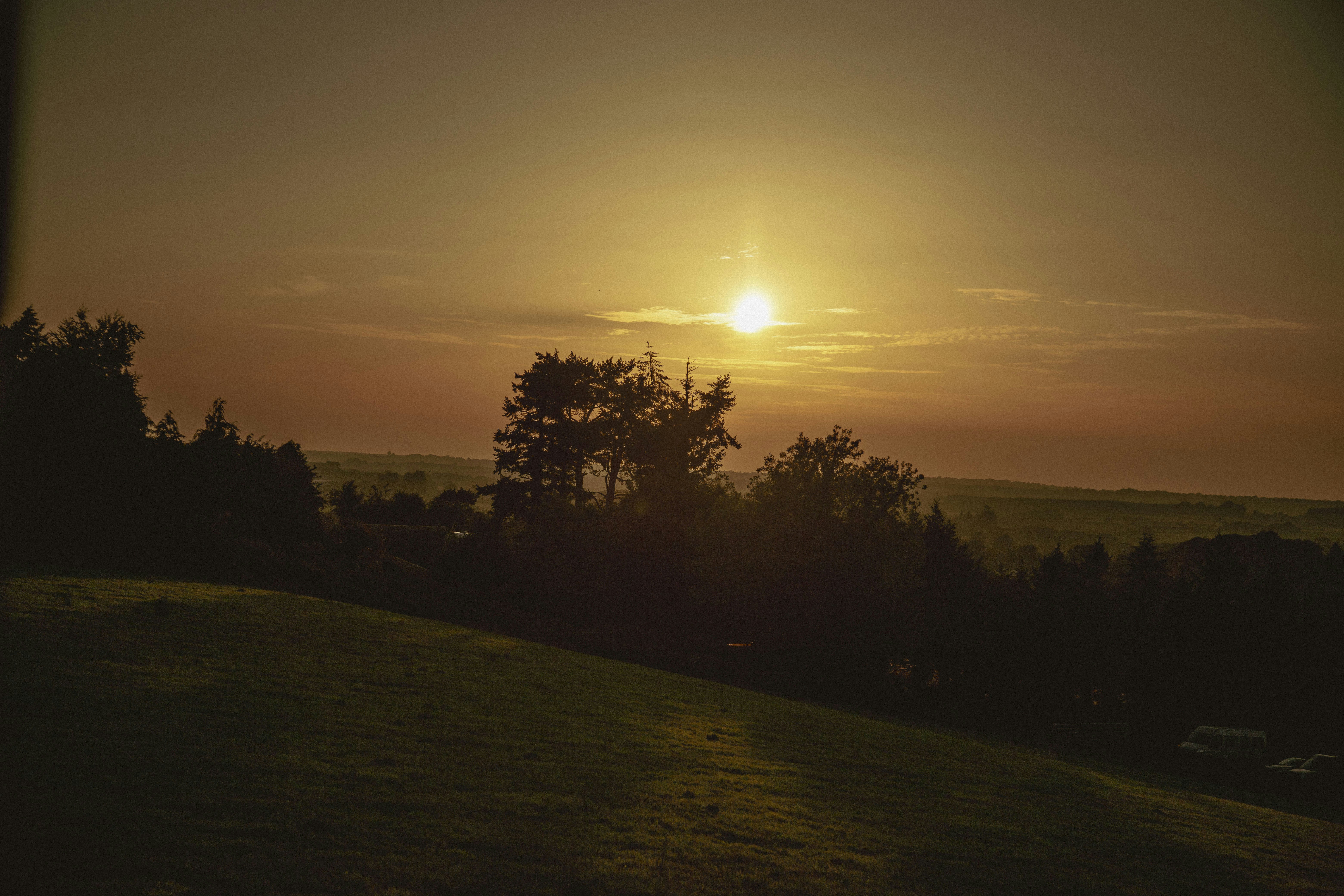 Golden Horizon: A Quiet Dawn Unfolds