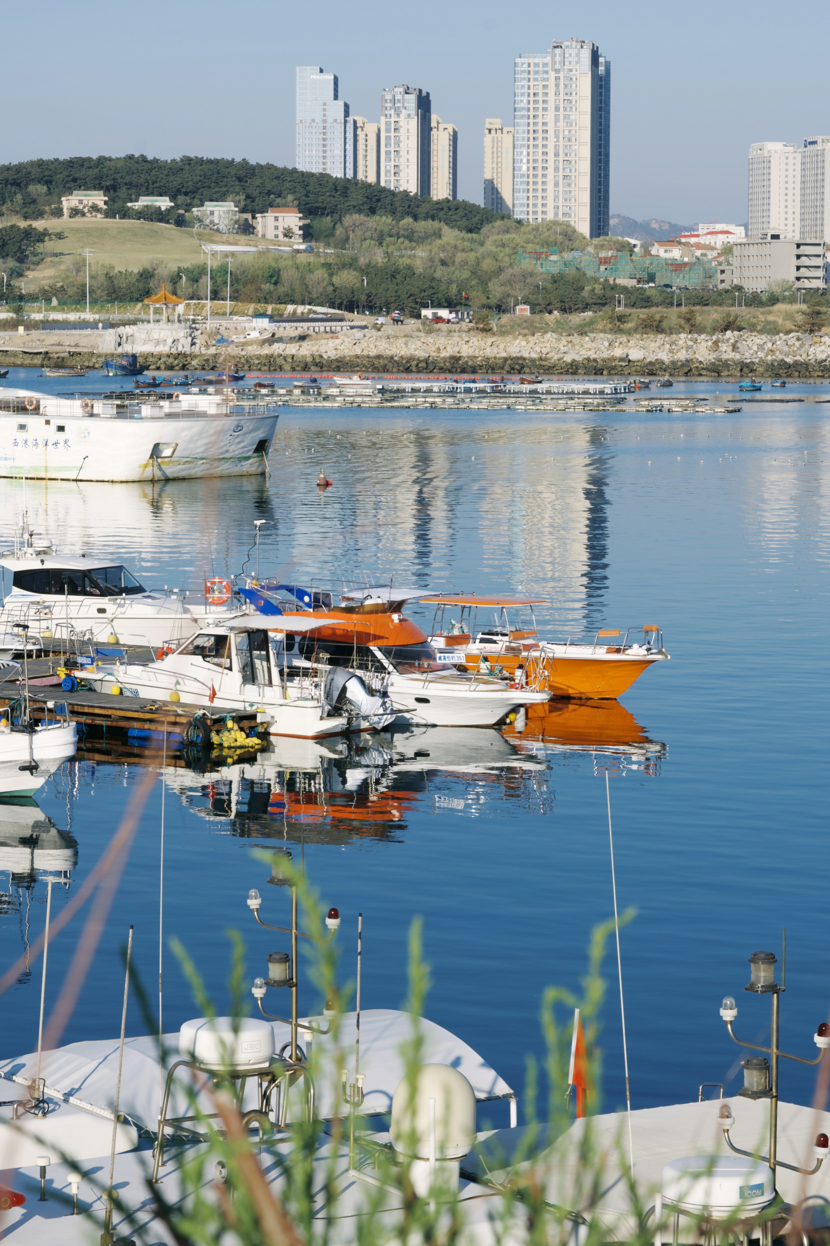 Boats docked in a harbor with city skyline background