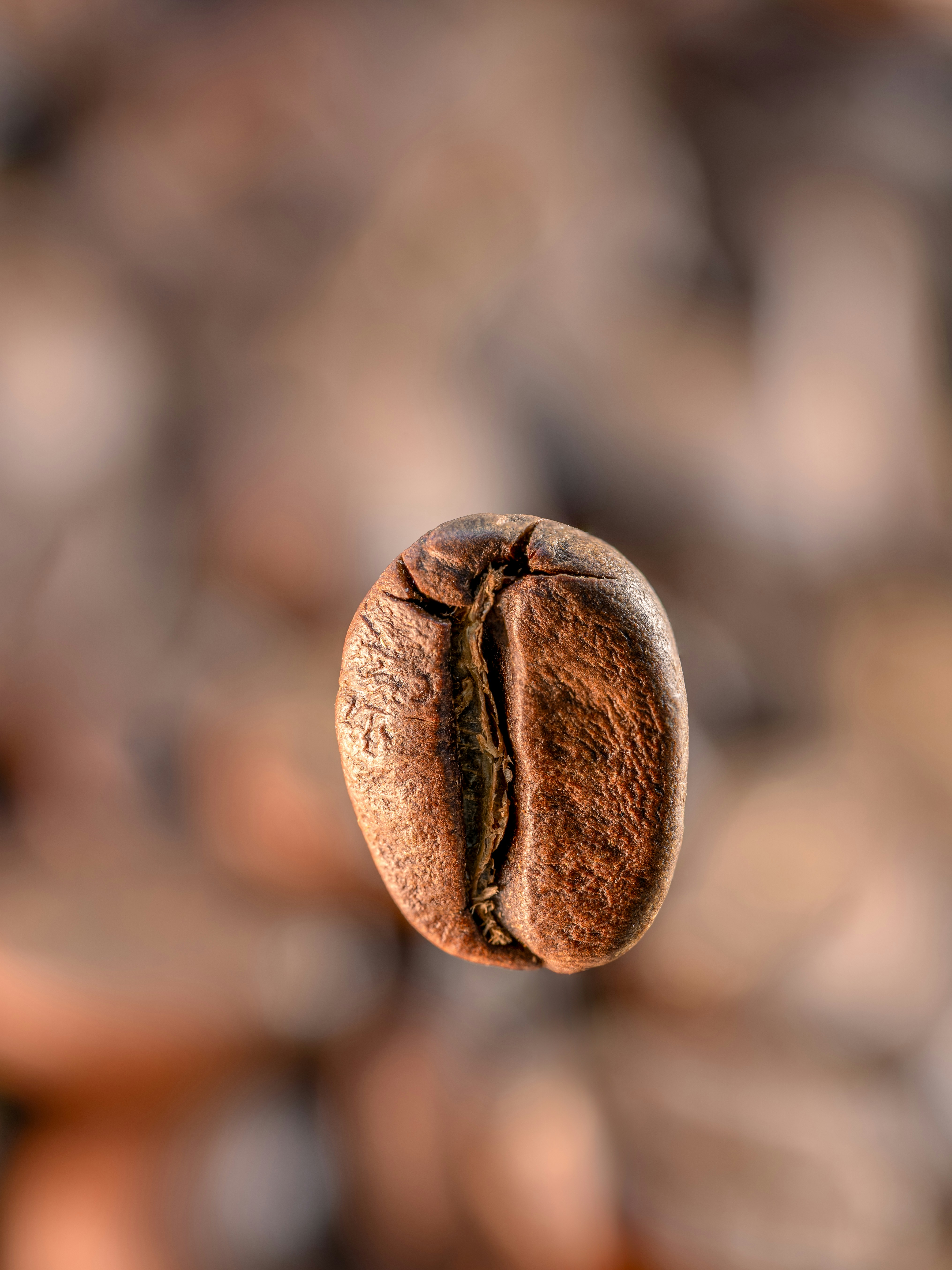 A single coffee bean in focus | A single roasted coffee bean floats in focus.
