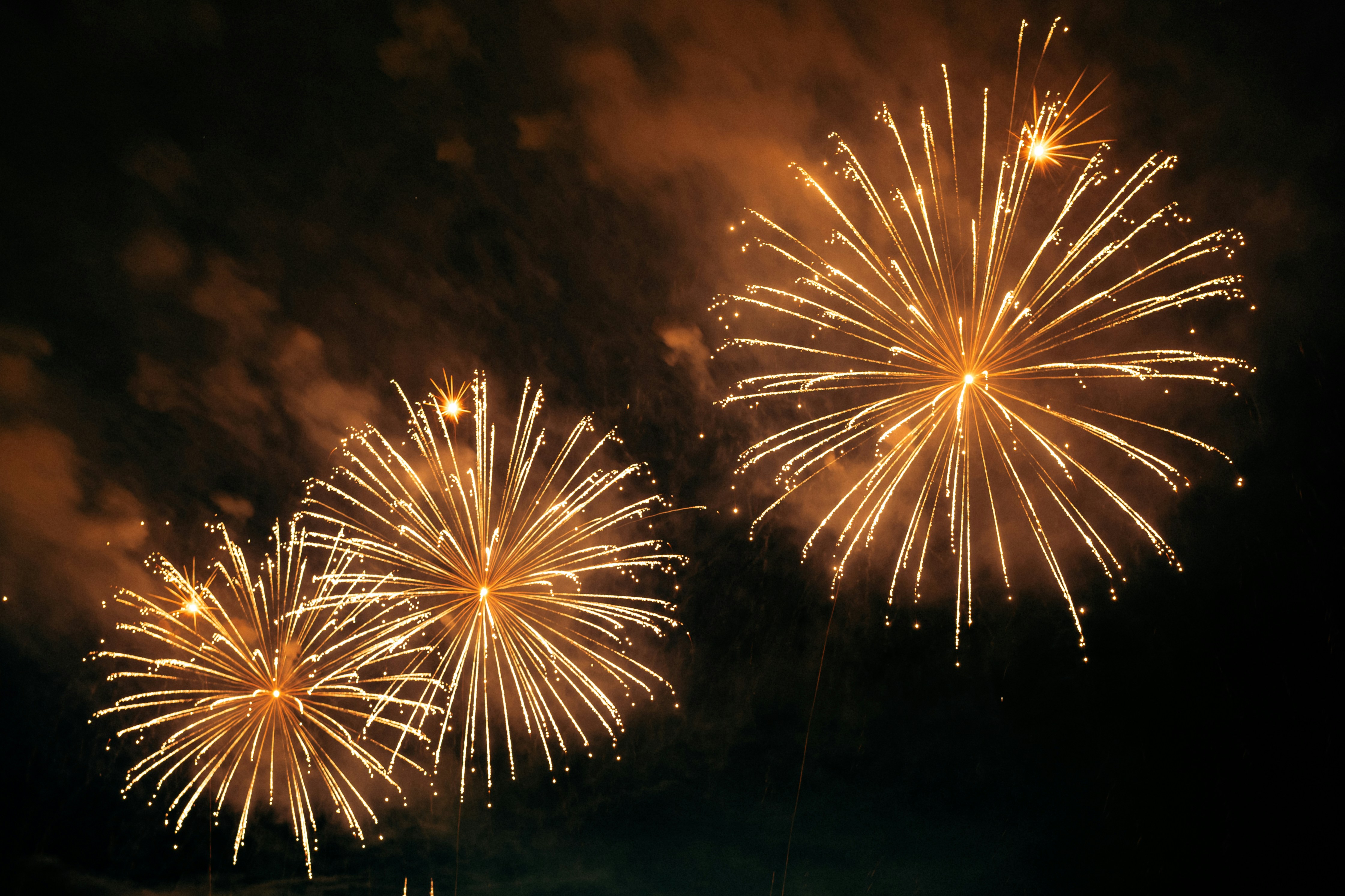 Symphony of Light: A Firework's Dance
