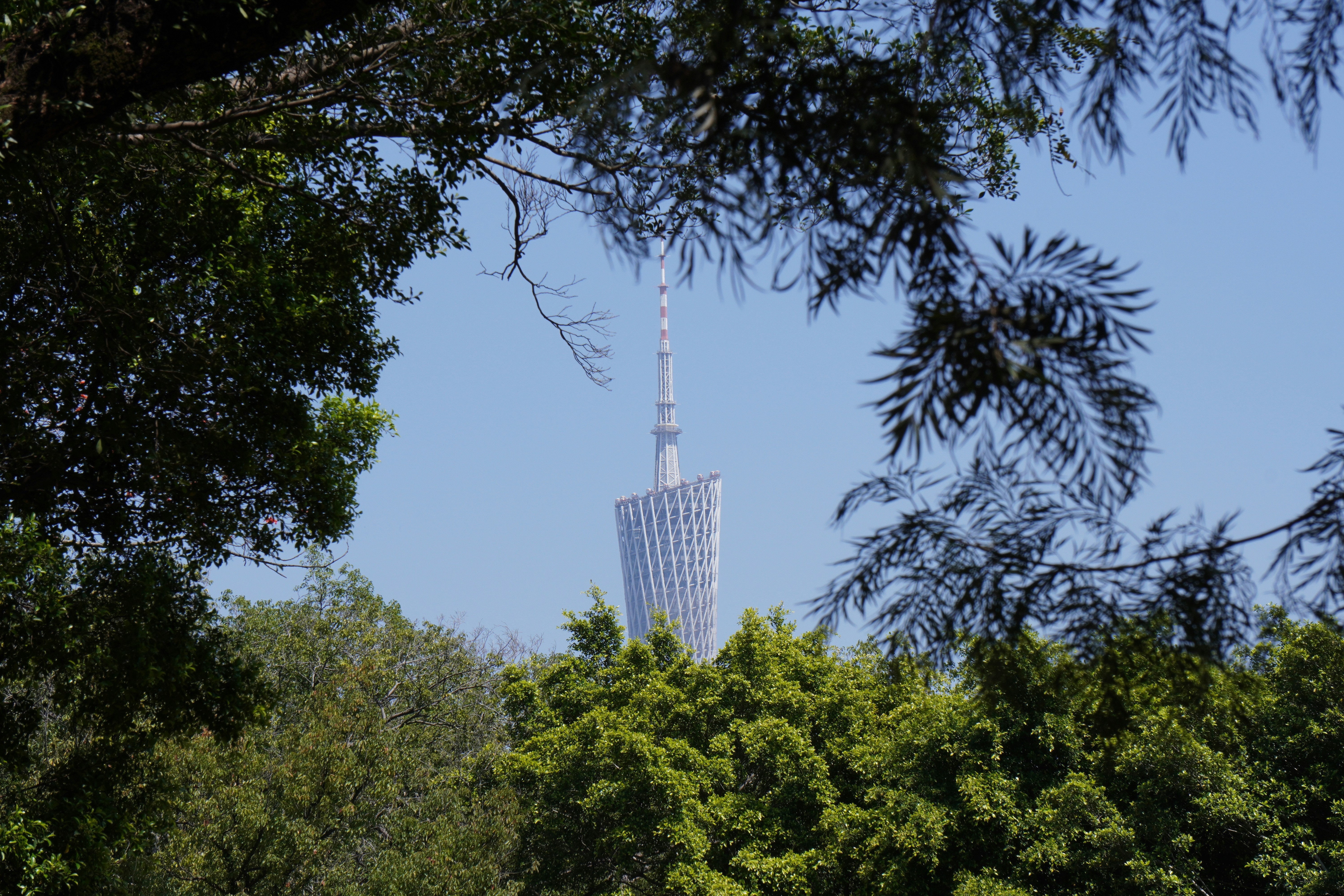 Urban Elegance Amidst Nature's Embrace