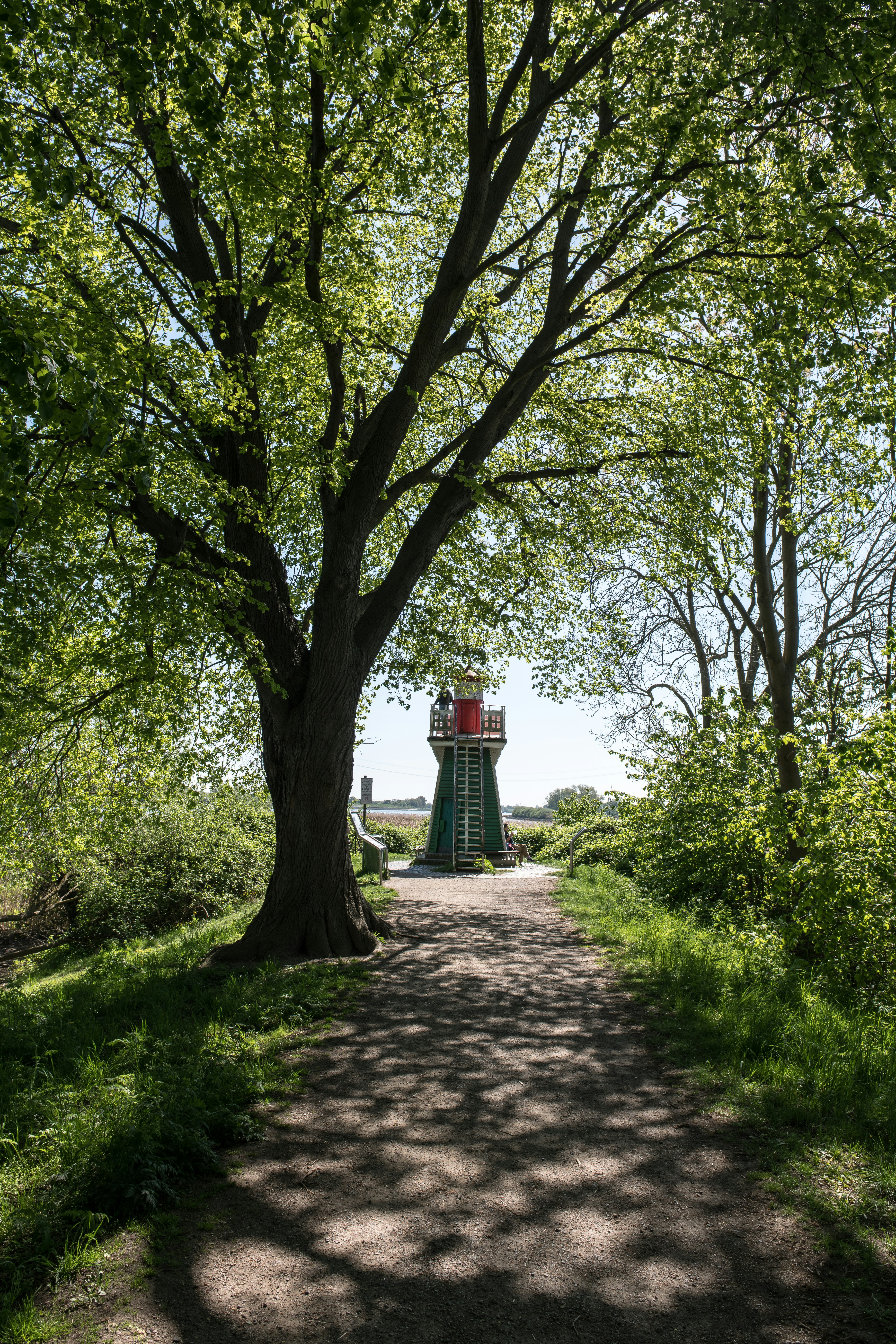 Pathway to Serenity: A Hidden Lookout