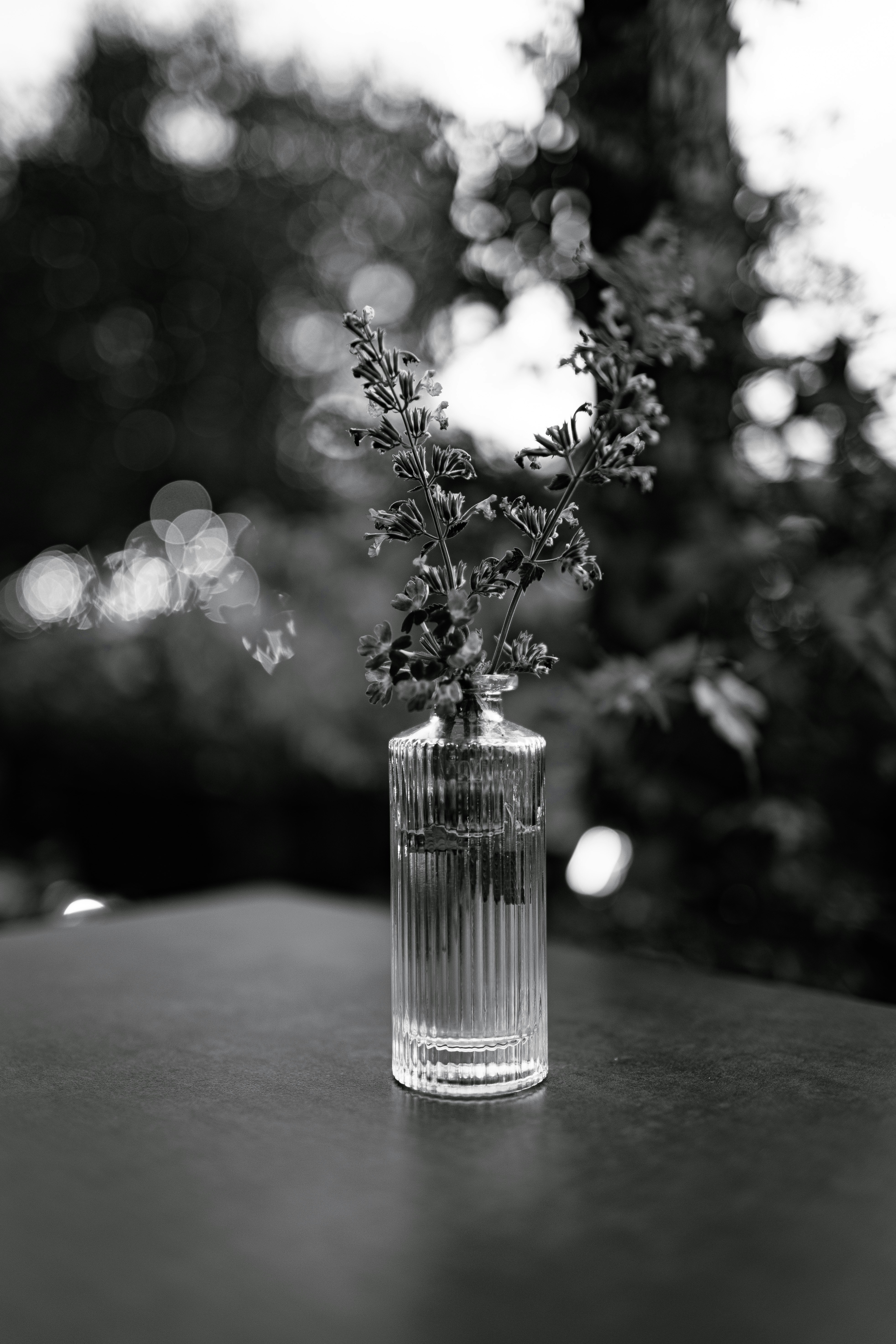 Elegance in Simplicity: A Monochrome Floral Arrangement