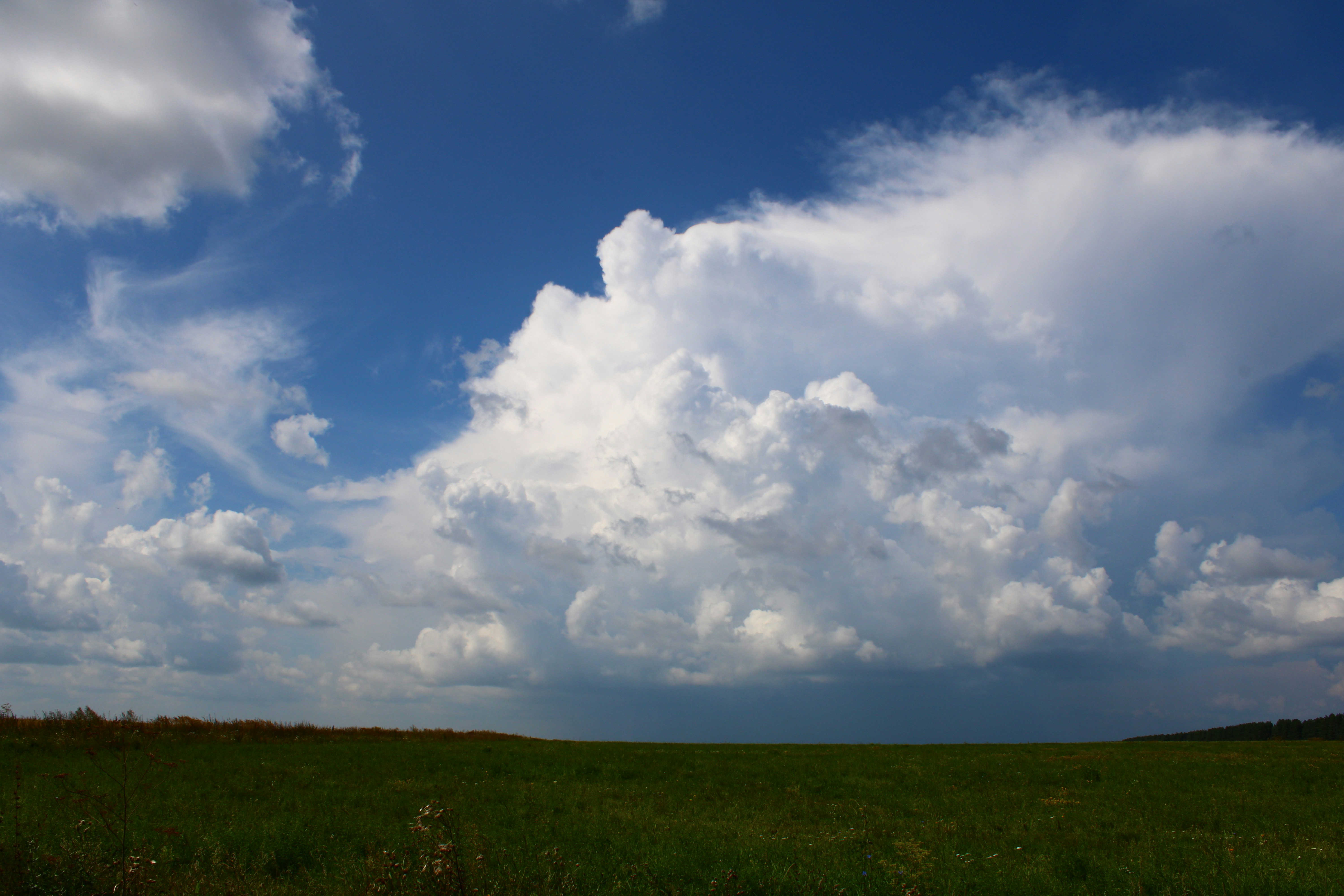 Dramatic white clouds over a green field