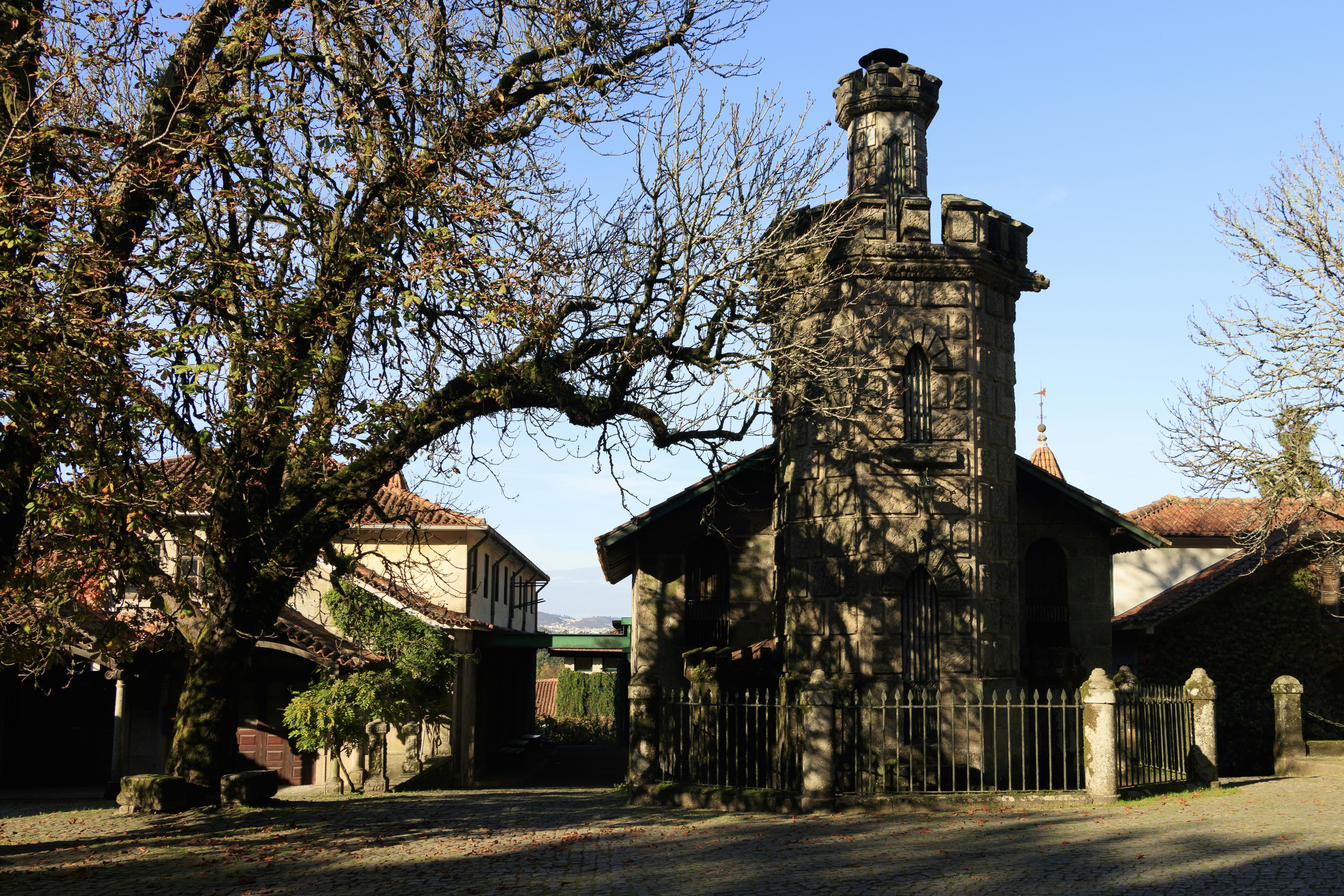 Stone chapel-like structure with a tall tower, wrought-iron gate, and surrounding ivy, framed by a large bare tree and bright blue sky. | Stone tower with arched tree branches and buildings