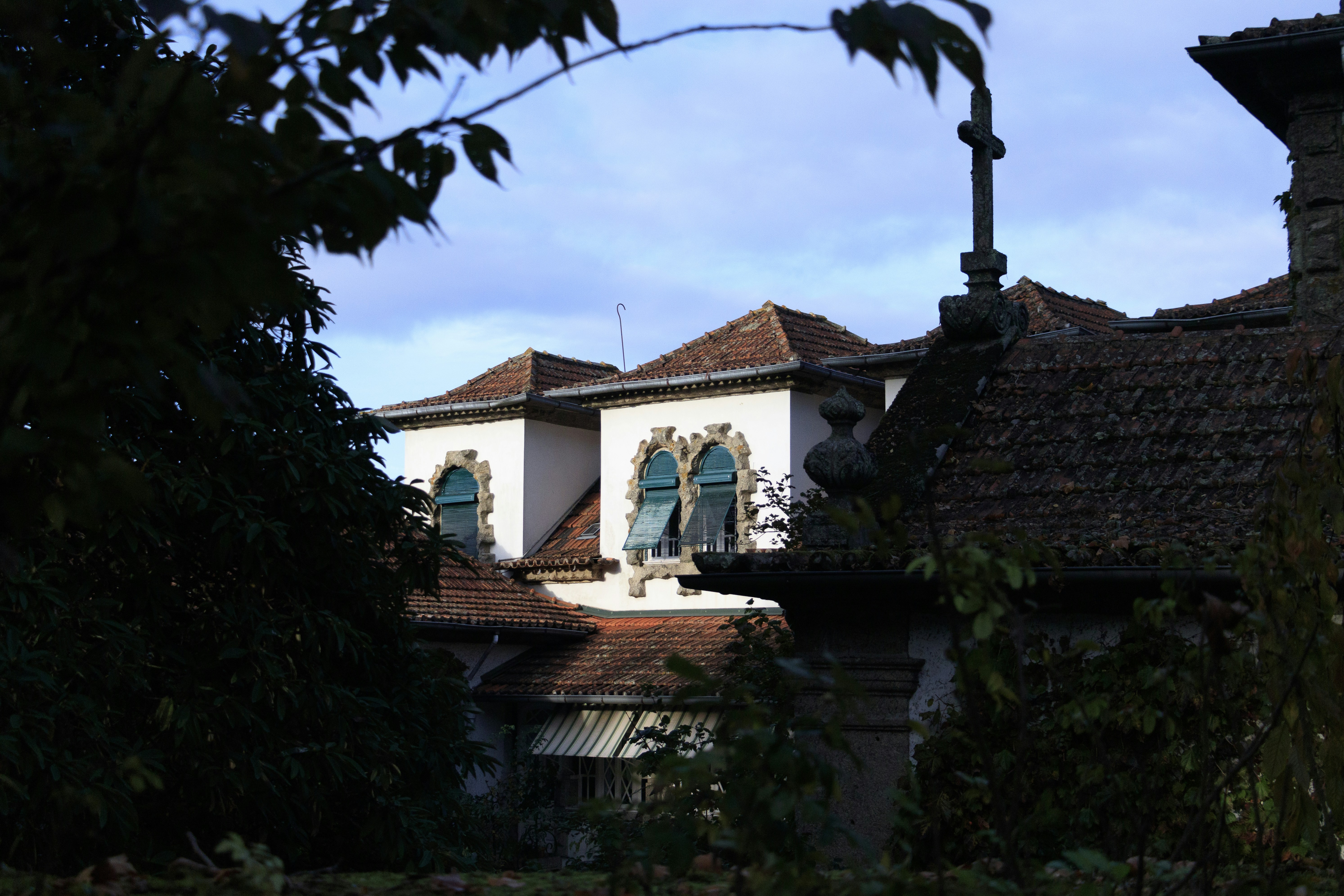 Whispers of Architectural Elegance