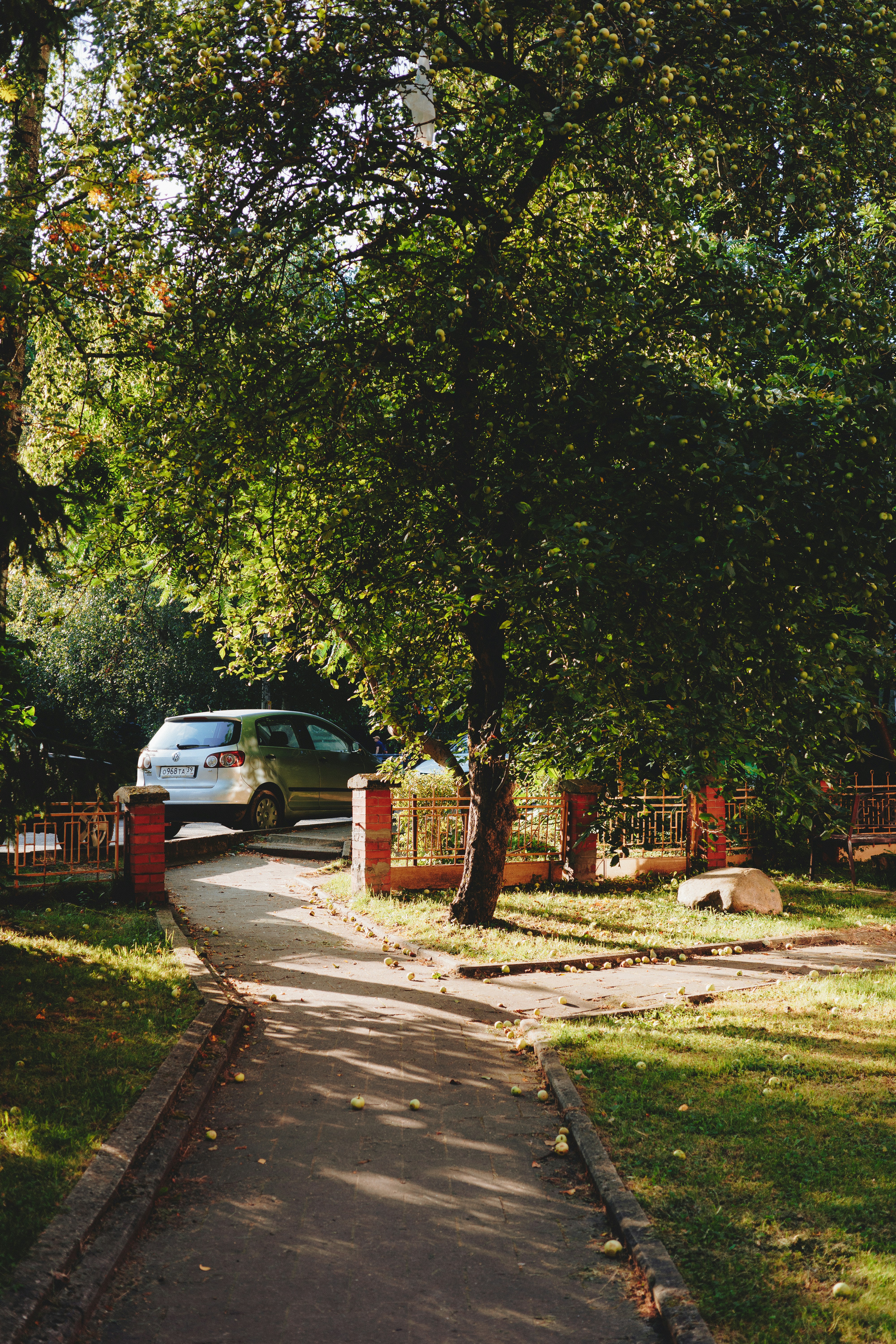 A car parked on a driveway under trees