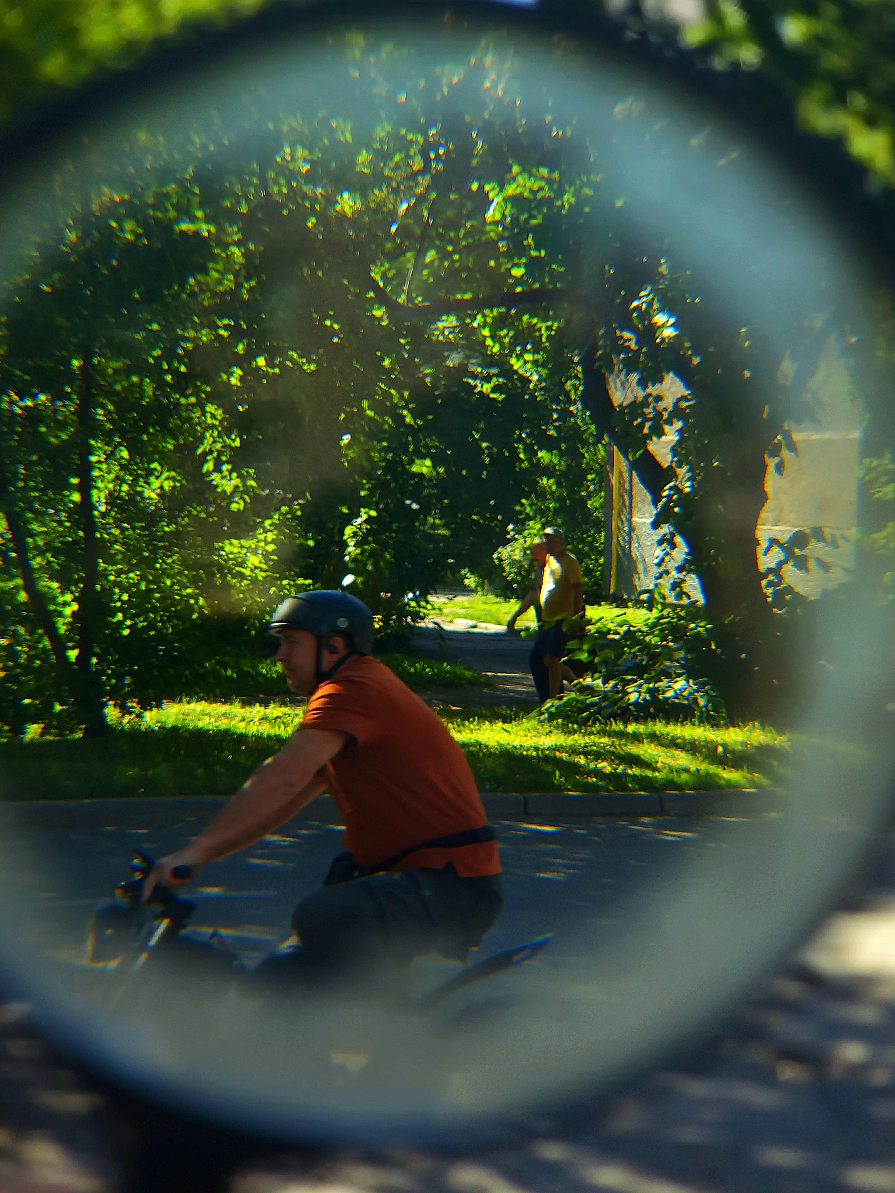 Cyclists riding on a sunny day through trees
