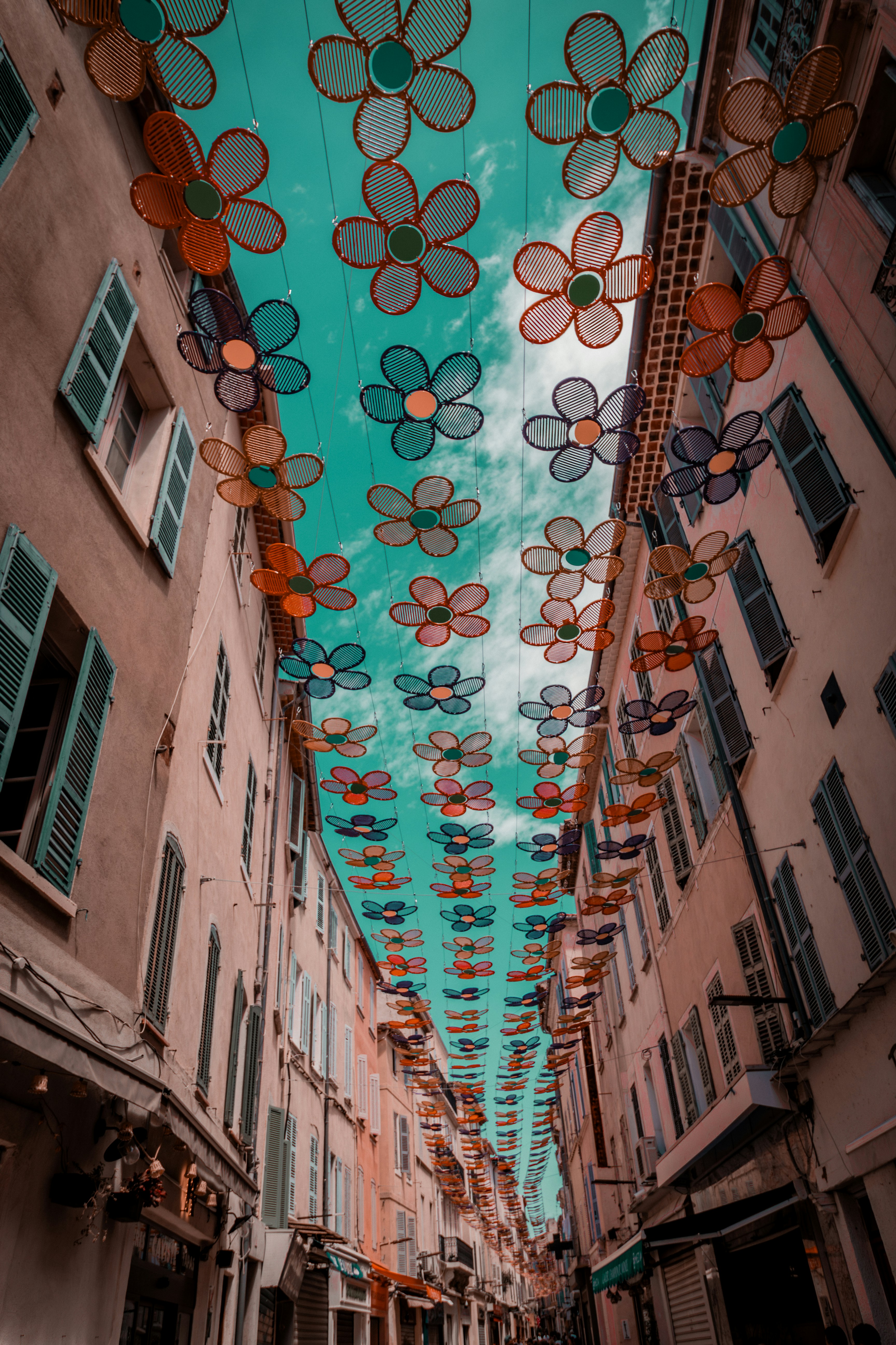 Whimsical Blooms Adorning the Alleyway