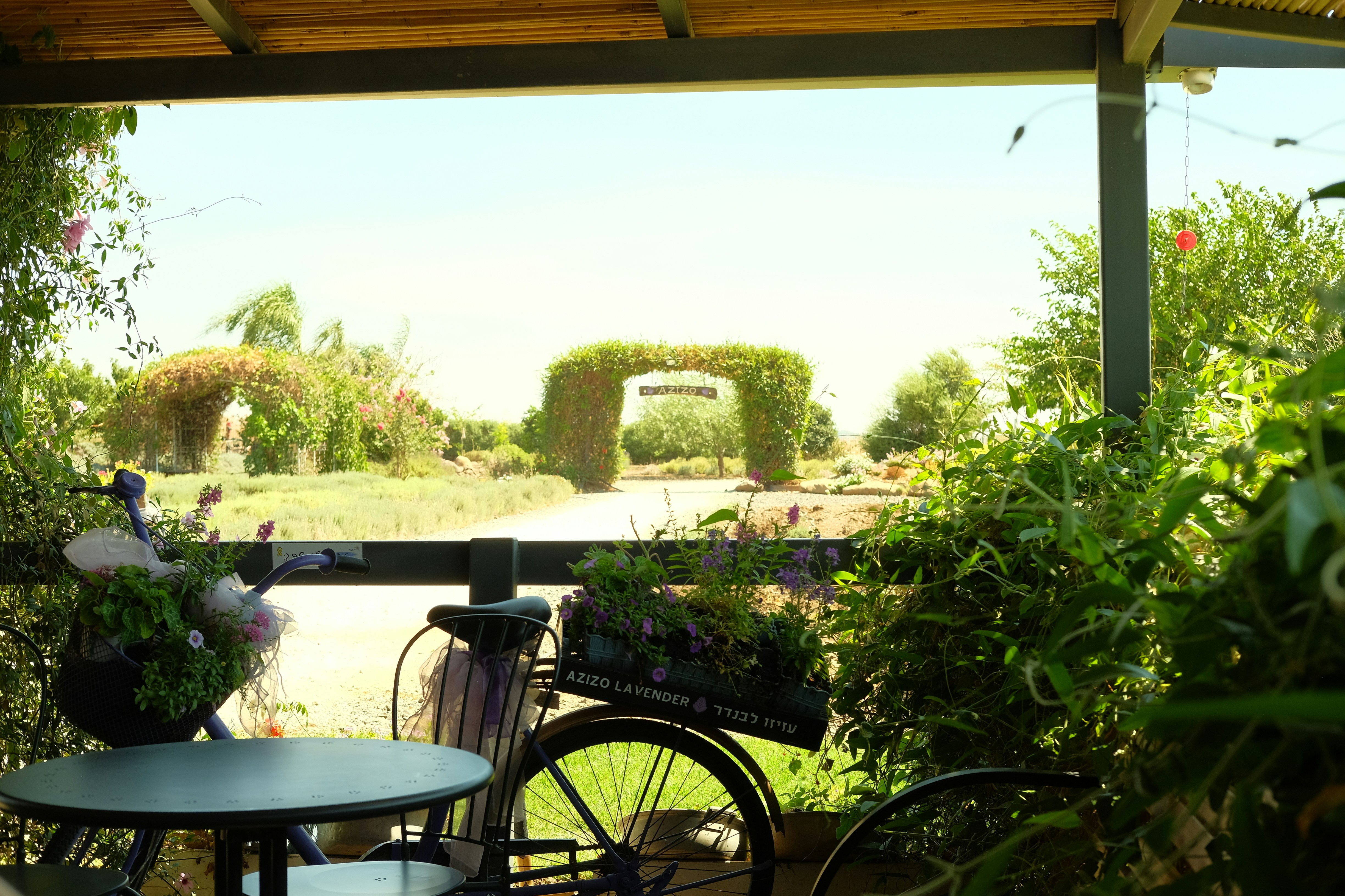 Whispers of Nature Through a Floral Frame