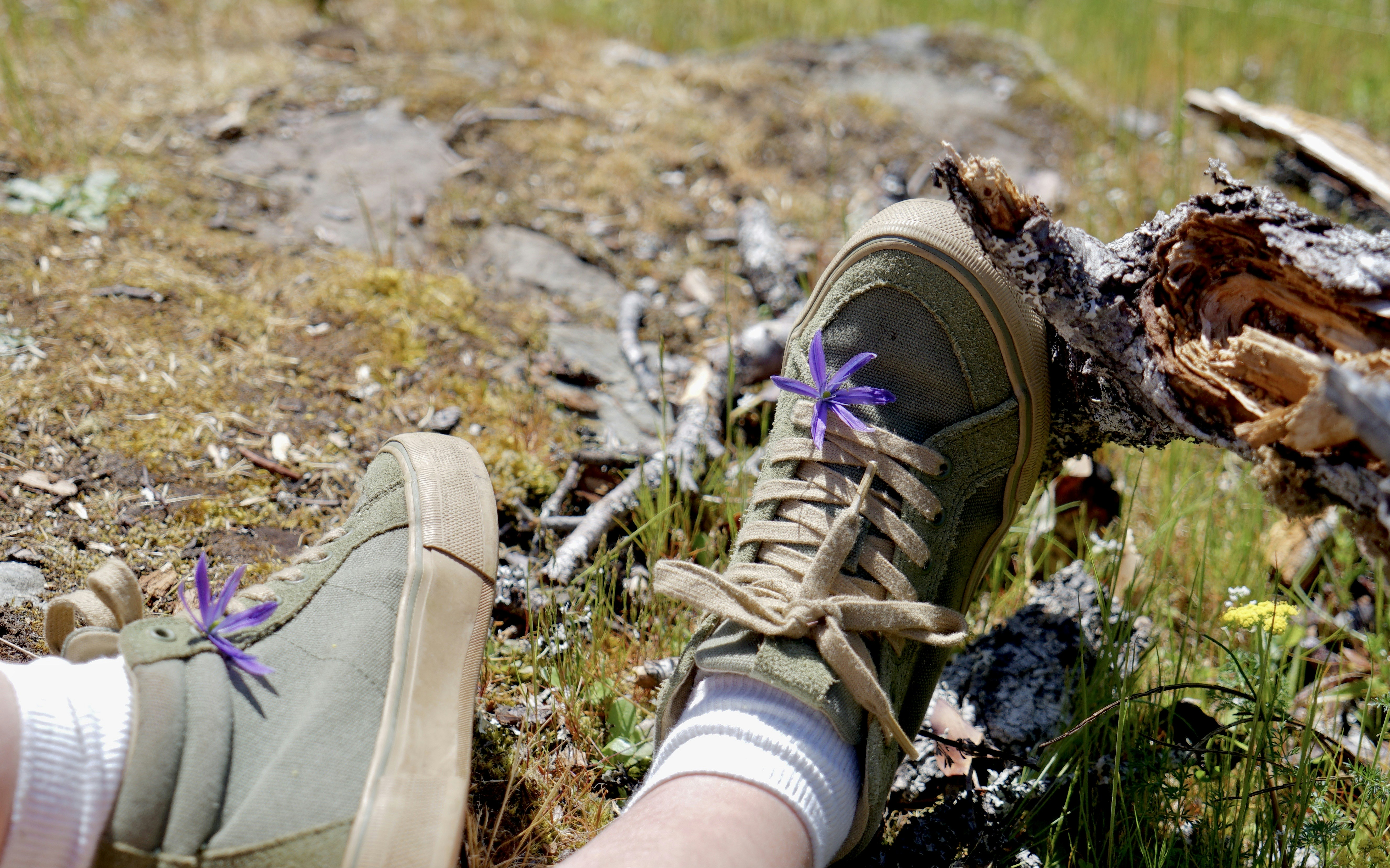 Nature's Footprint: A Floral Embrace