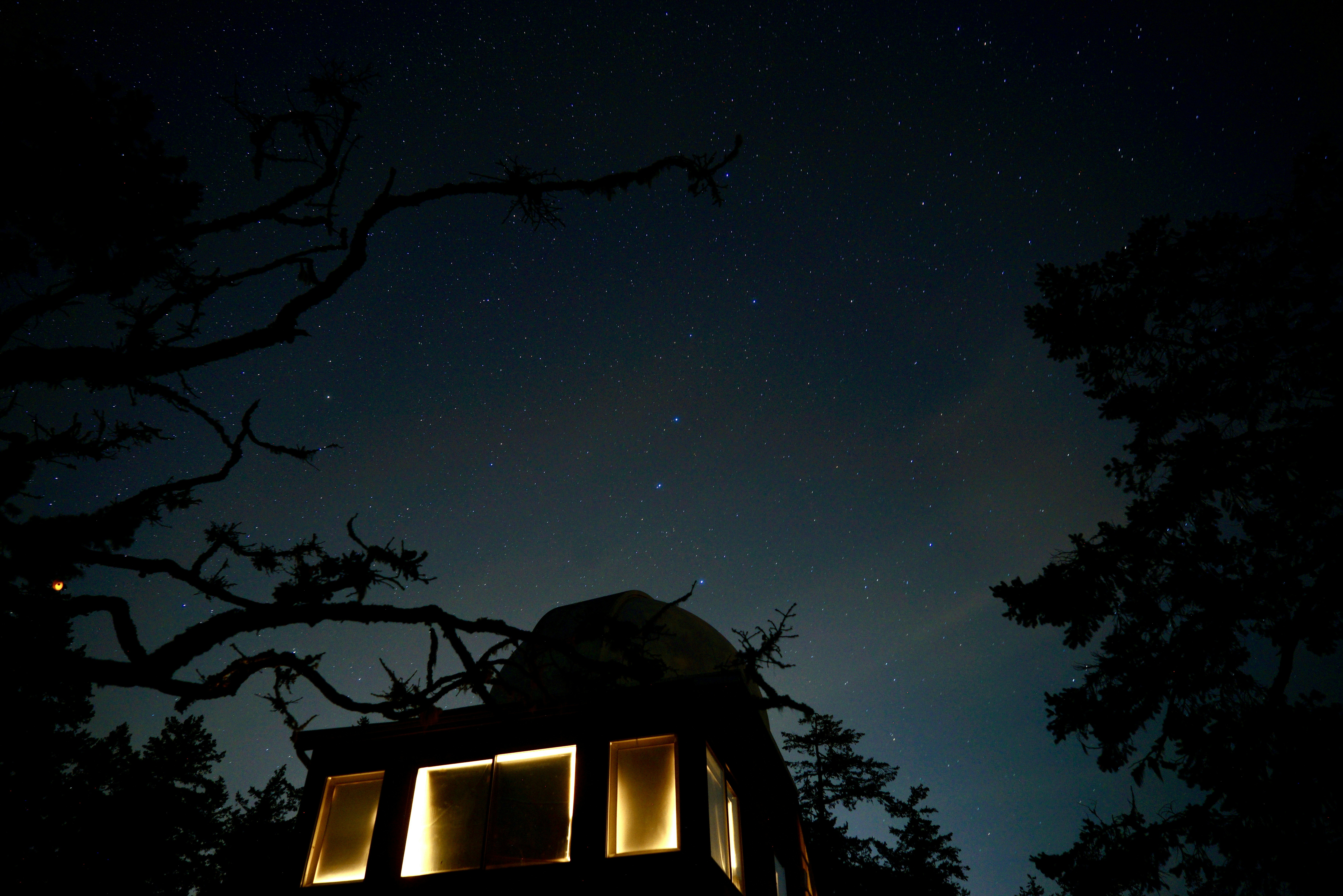 Photo by Ria Huang with Sony Alpha 7R