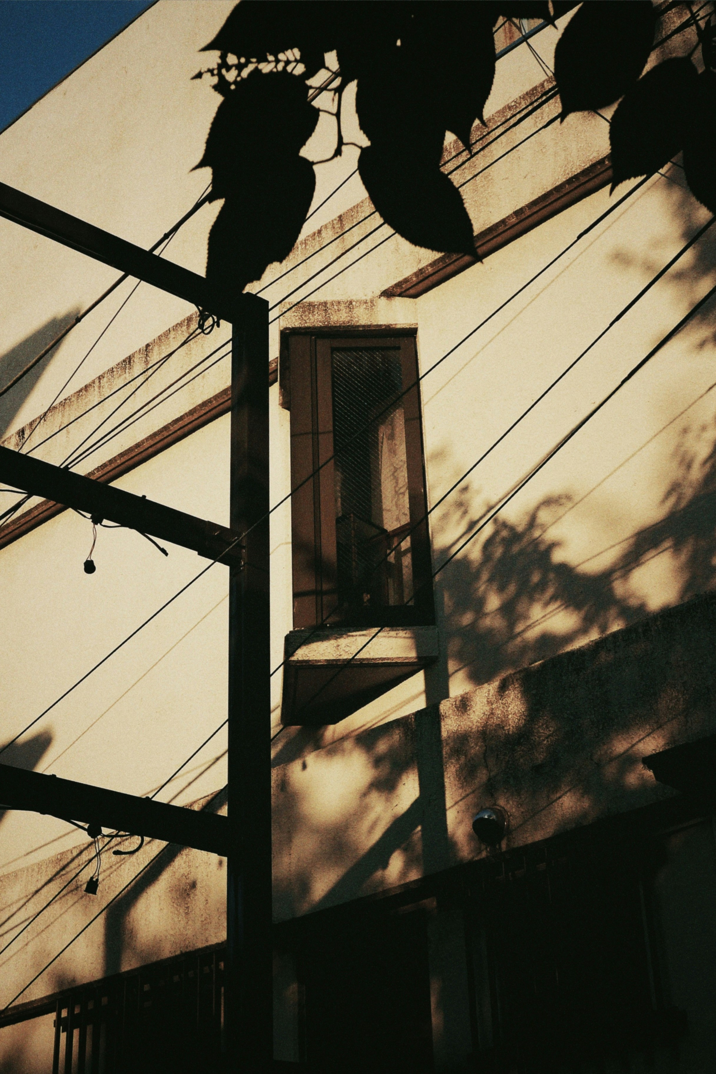 Sunlight and shadows on a building wall