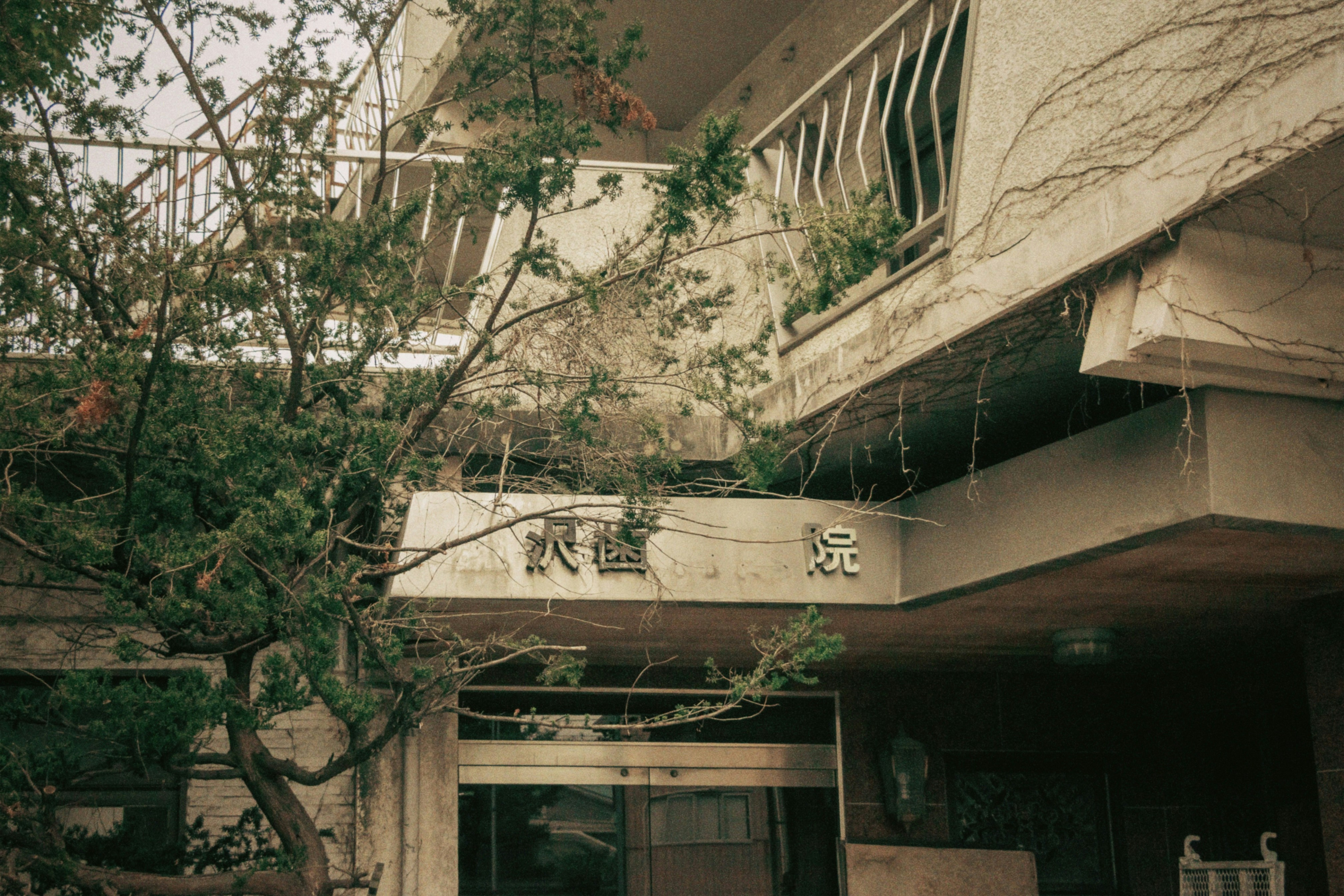 Decaying building facade entwined with overgrown foliage, hinting at a once-vibrant life. The weathered sign reveals its former identity.