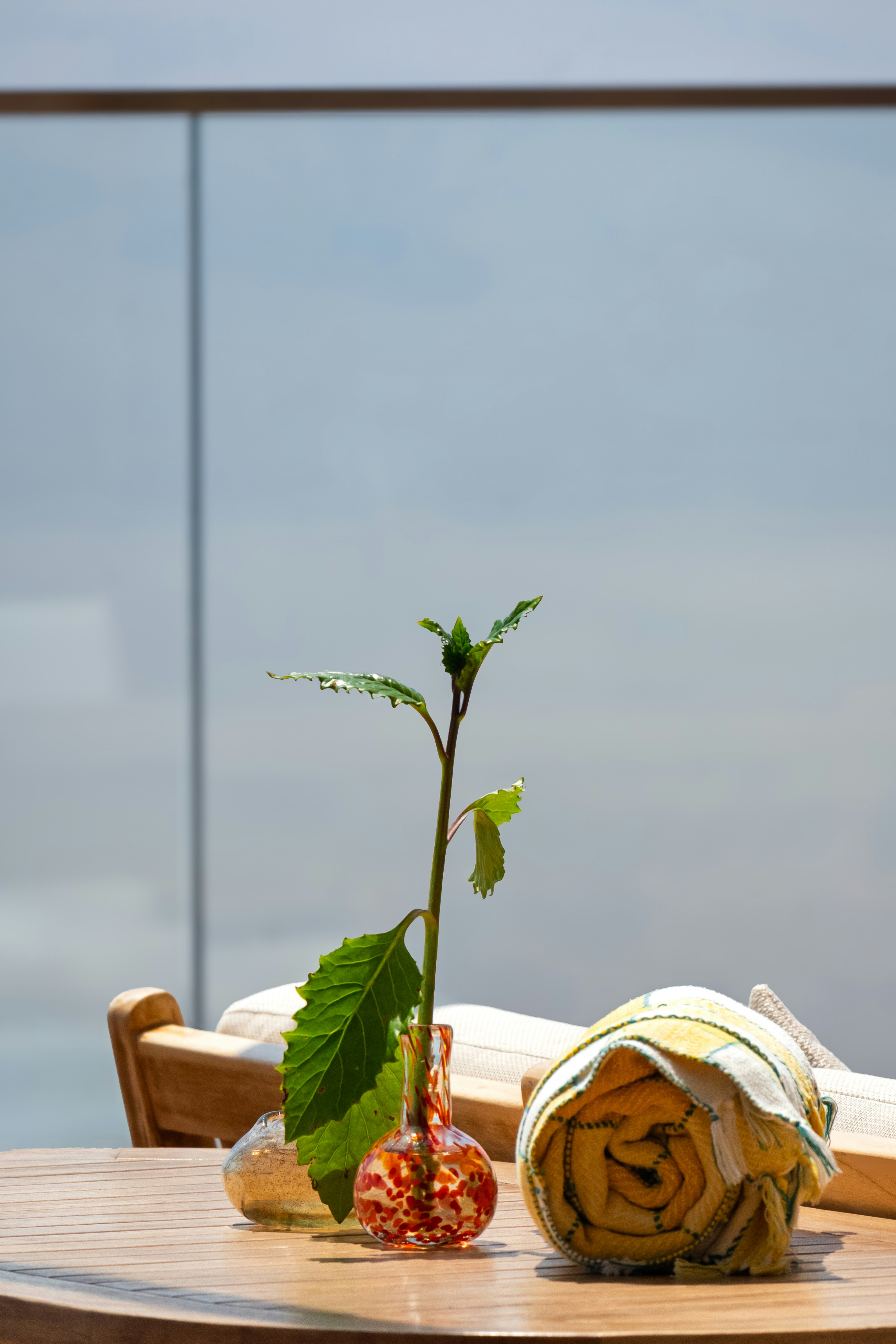 A Serene Moment: Nature's Touch on a Sunlit Table