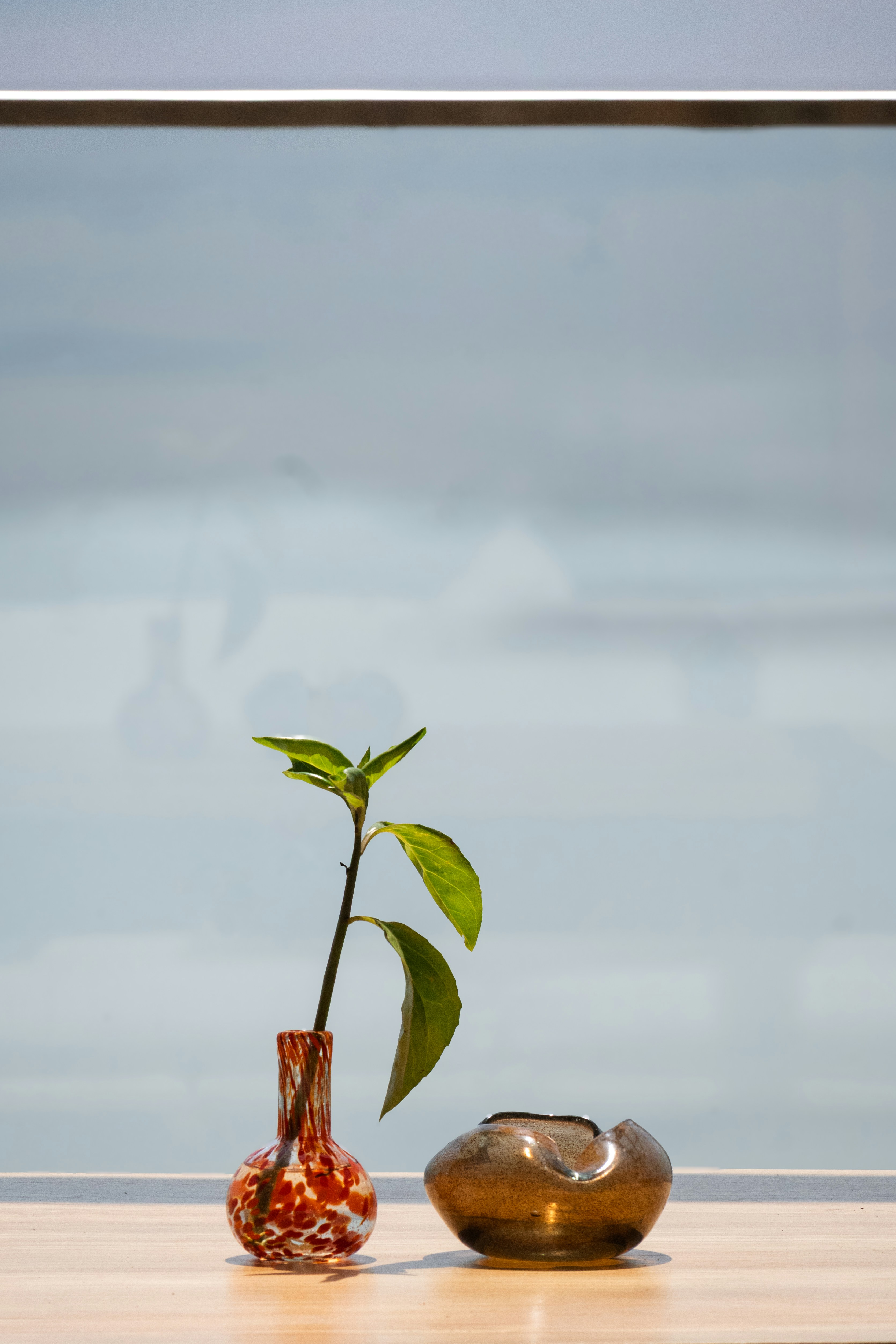 Sprout Between Glass and Clay: A Quiet Still-Life on Sunlit Wood