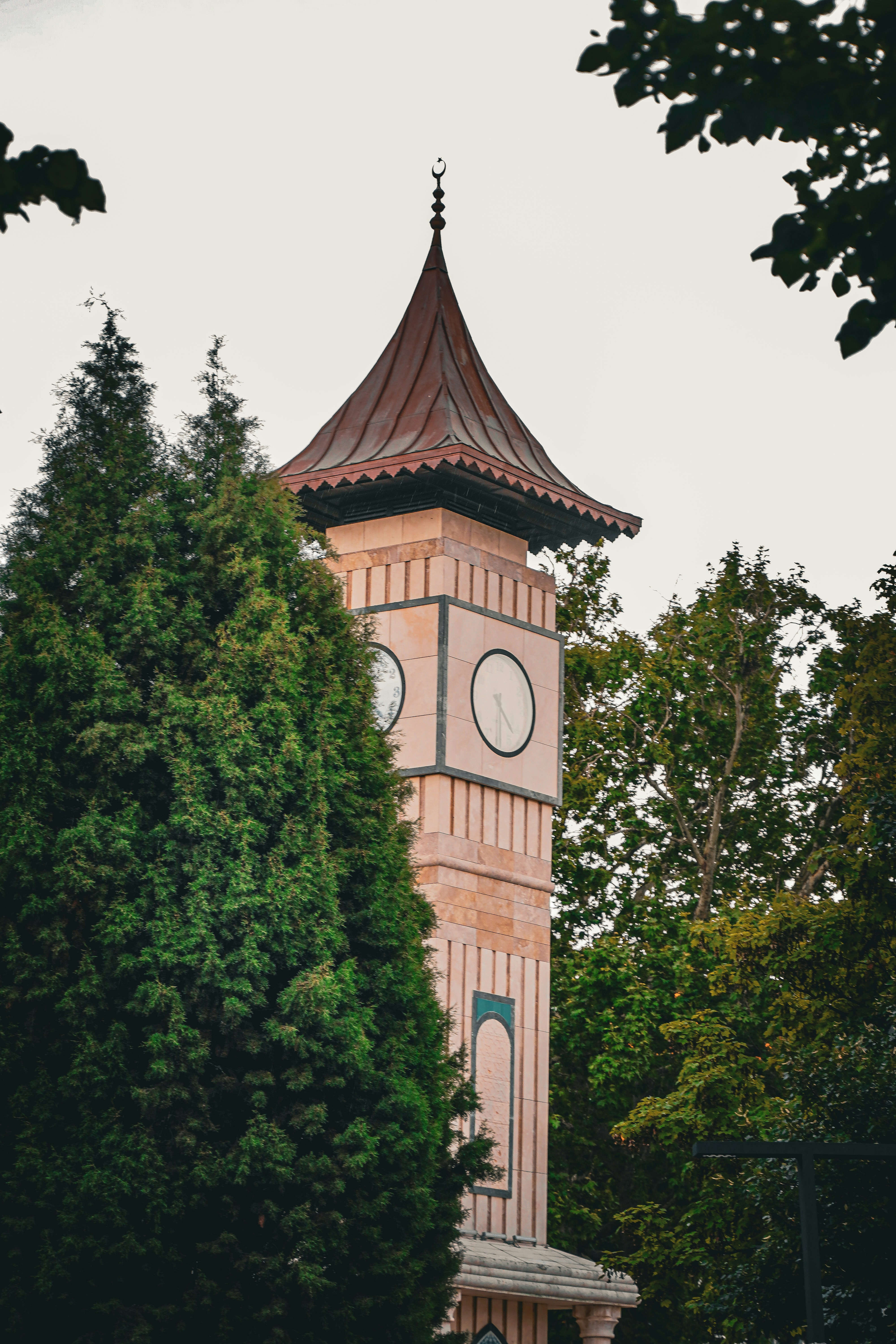 A clock tower partially obscured by trees