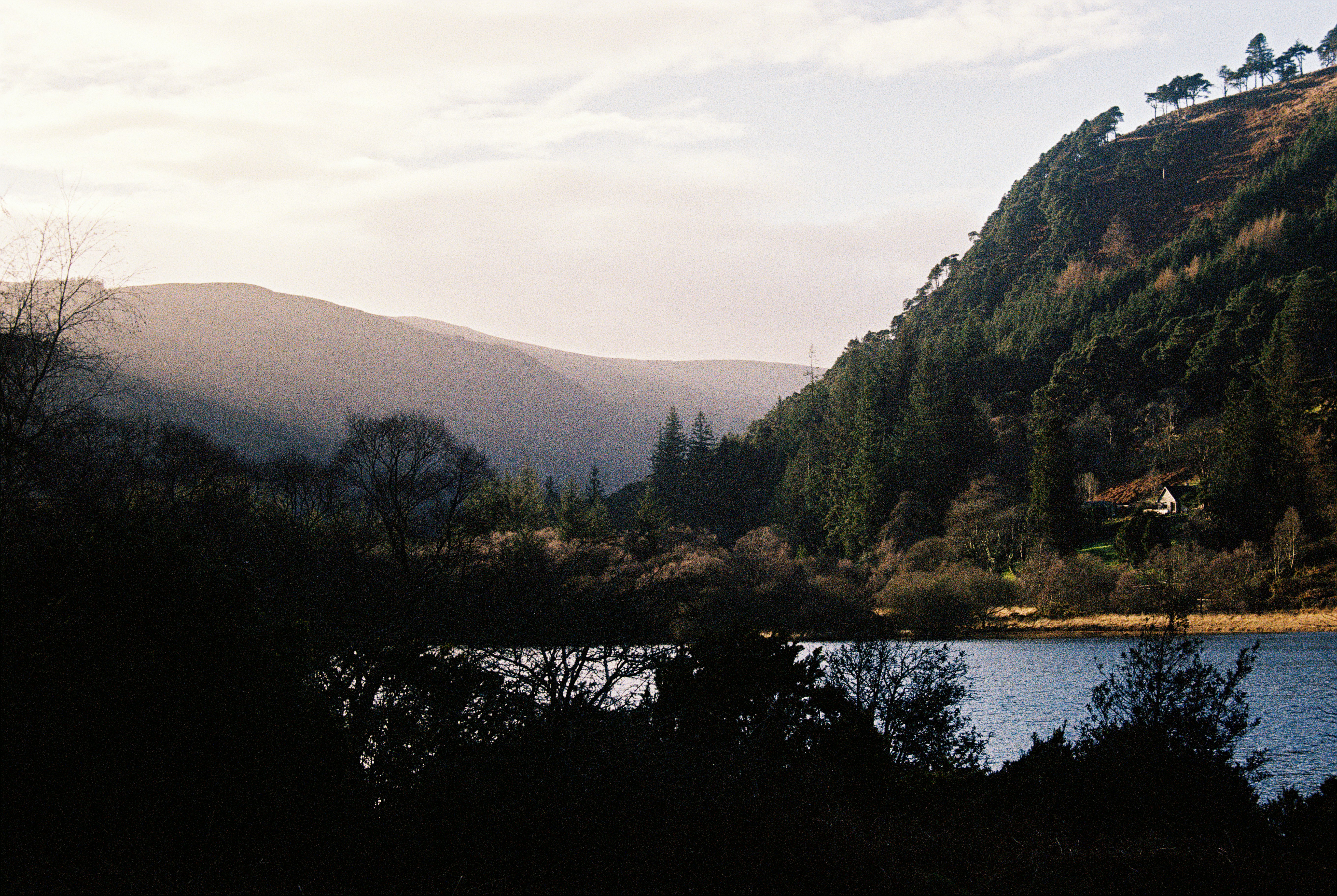 Misty mountains and forest beside a calm lake
