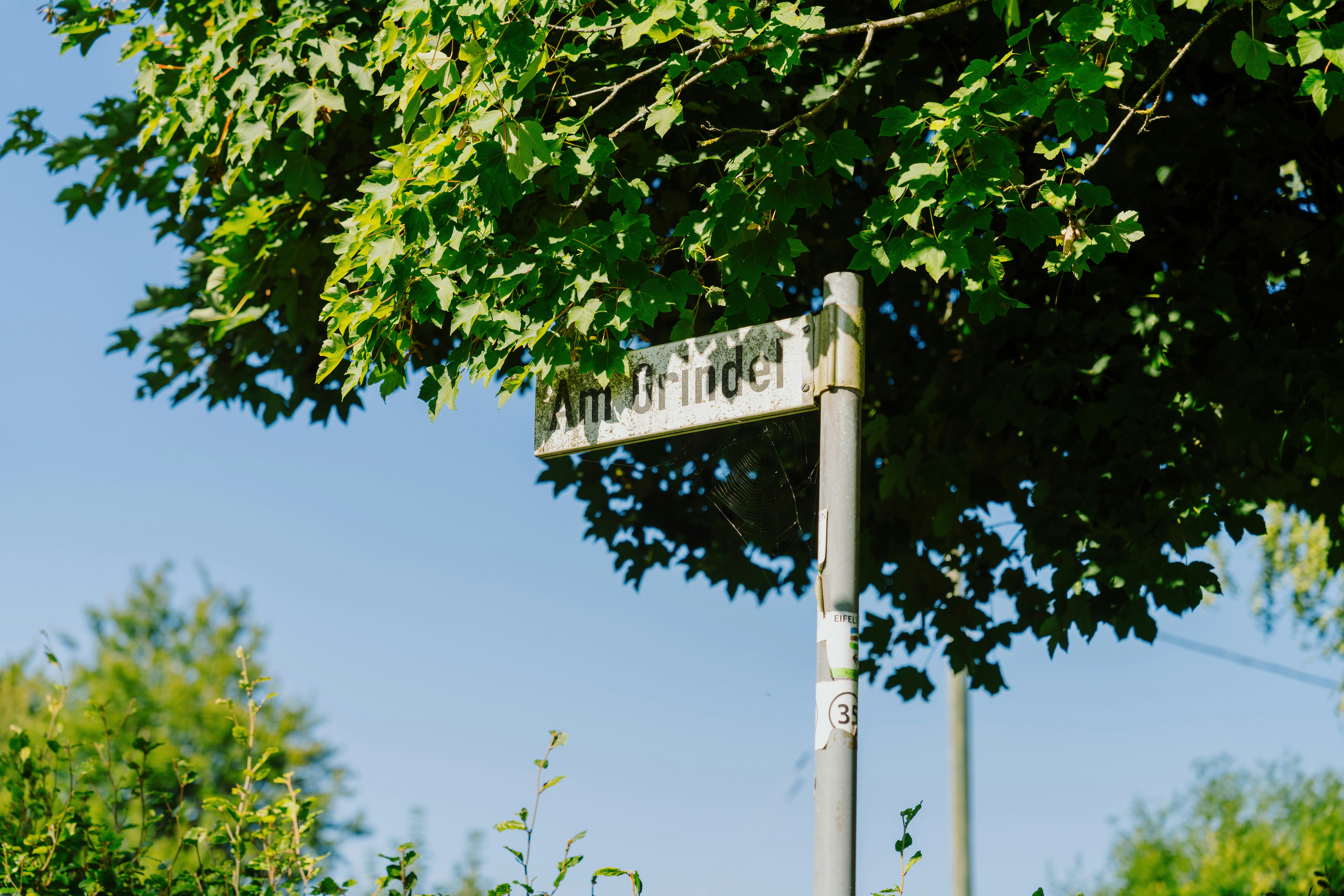 Street sign under green trees and blue sky