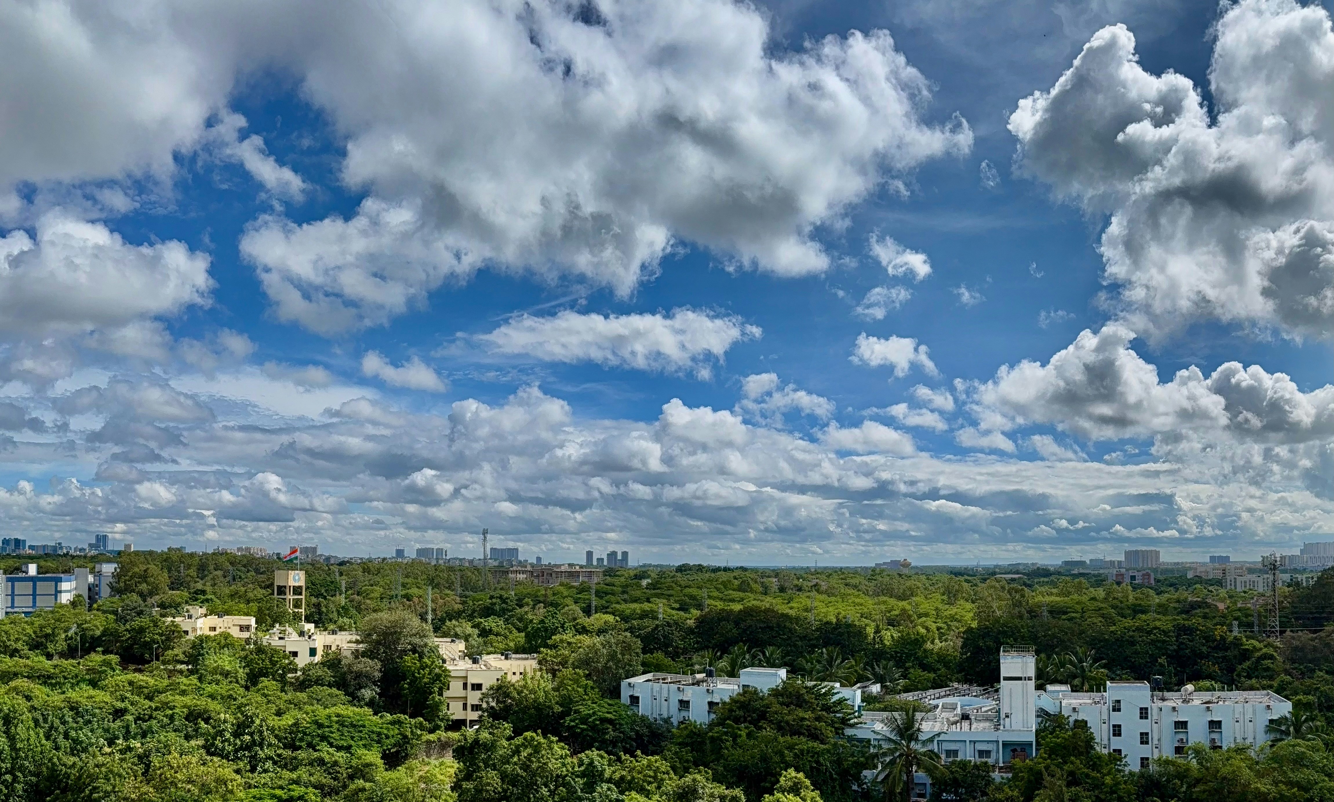 Verdant Urban Oasis Under a Dynamic Sky