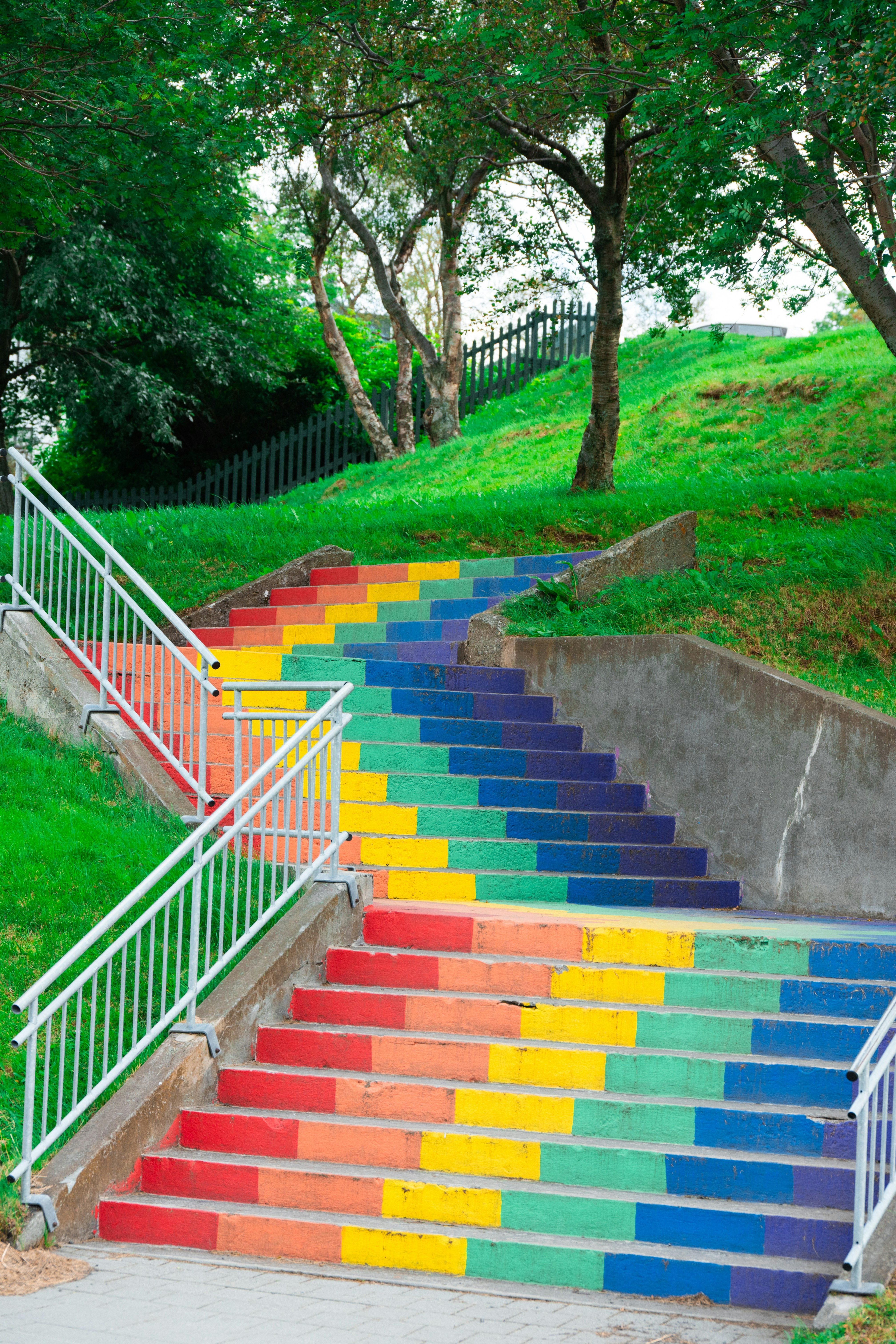 A Vibrant Journey: Steps of Colorful Transformation